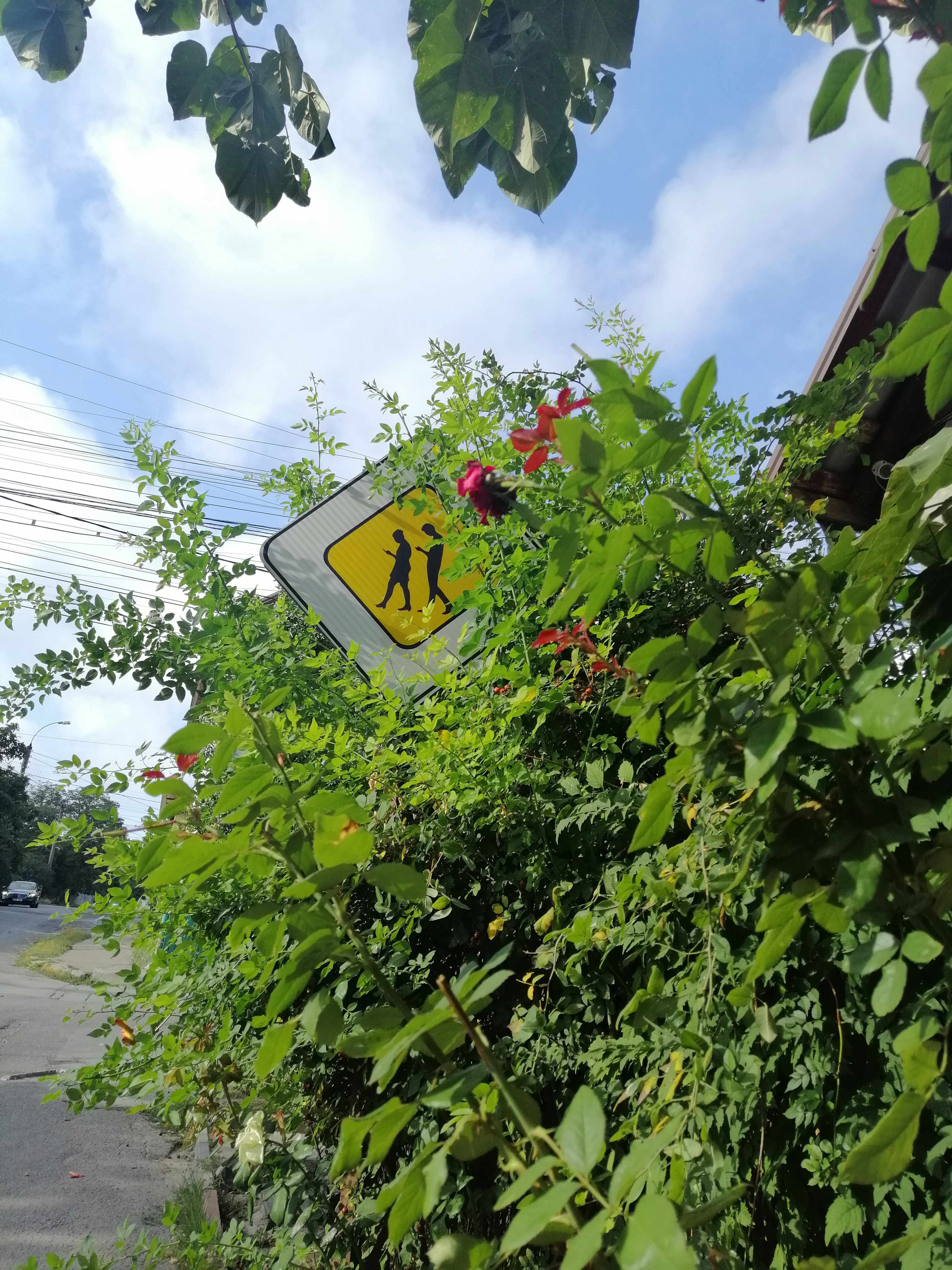 Photo by Marius Svet with Huawei Mate 20 Lite