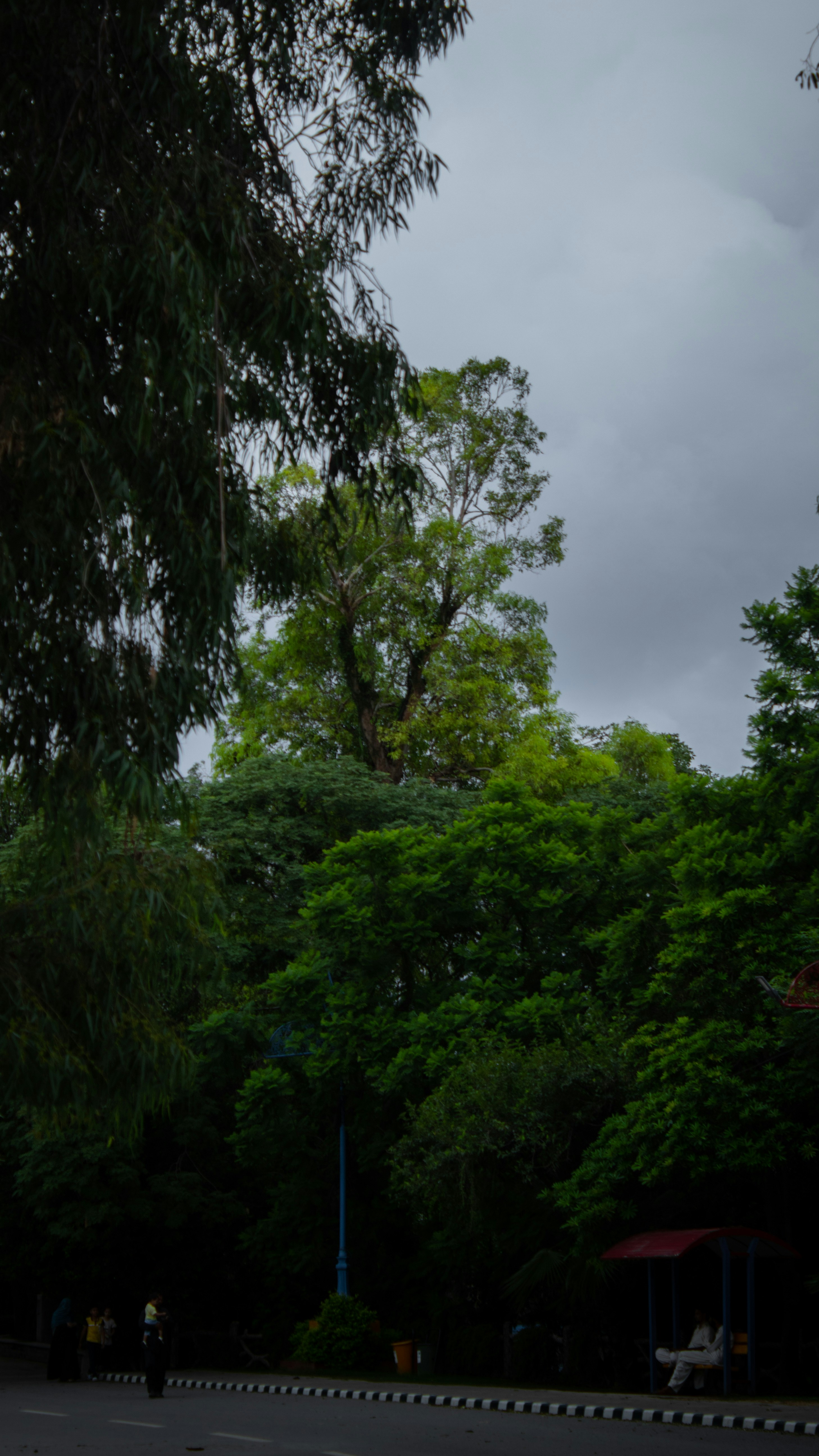 The Green Sentinel Rising Above a Quiet Park Under Clouded Skies