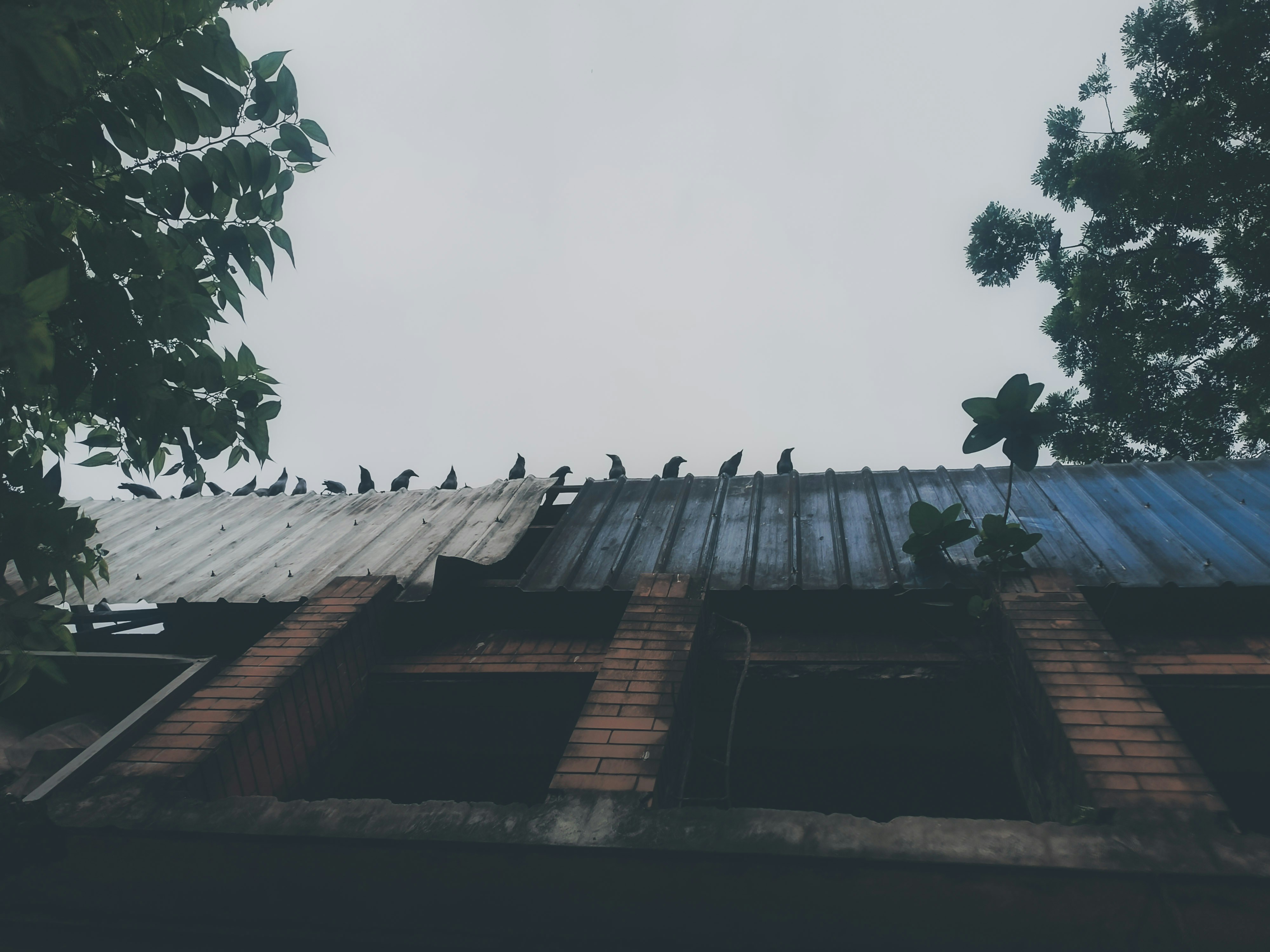 Photo by Abdullah Al Imran (ইমরান) with Xiaomi Redmi Note 11S