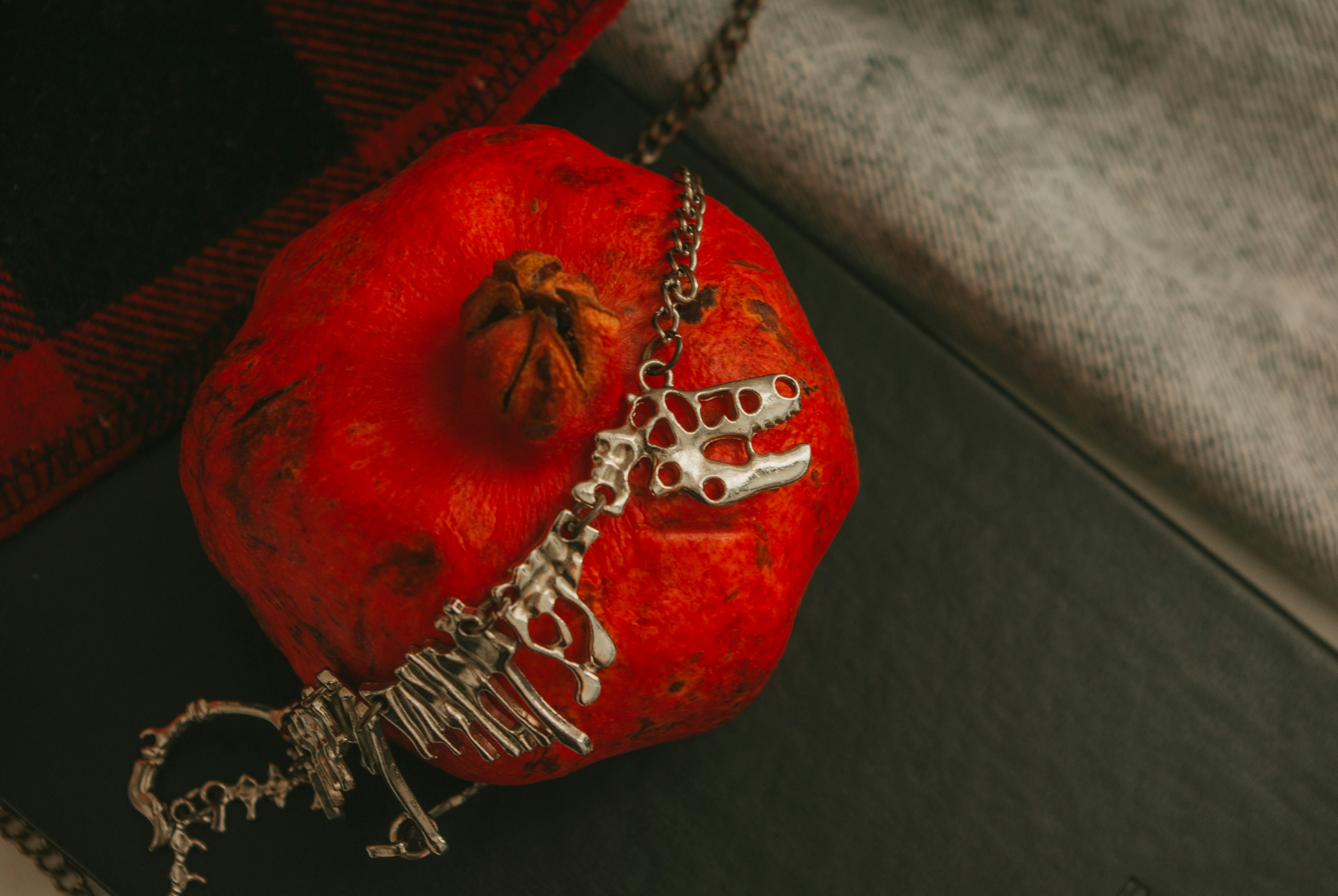 Crimson Pomegranate and a Silver Skeleton Necklace: A Moody Still Life