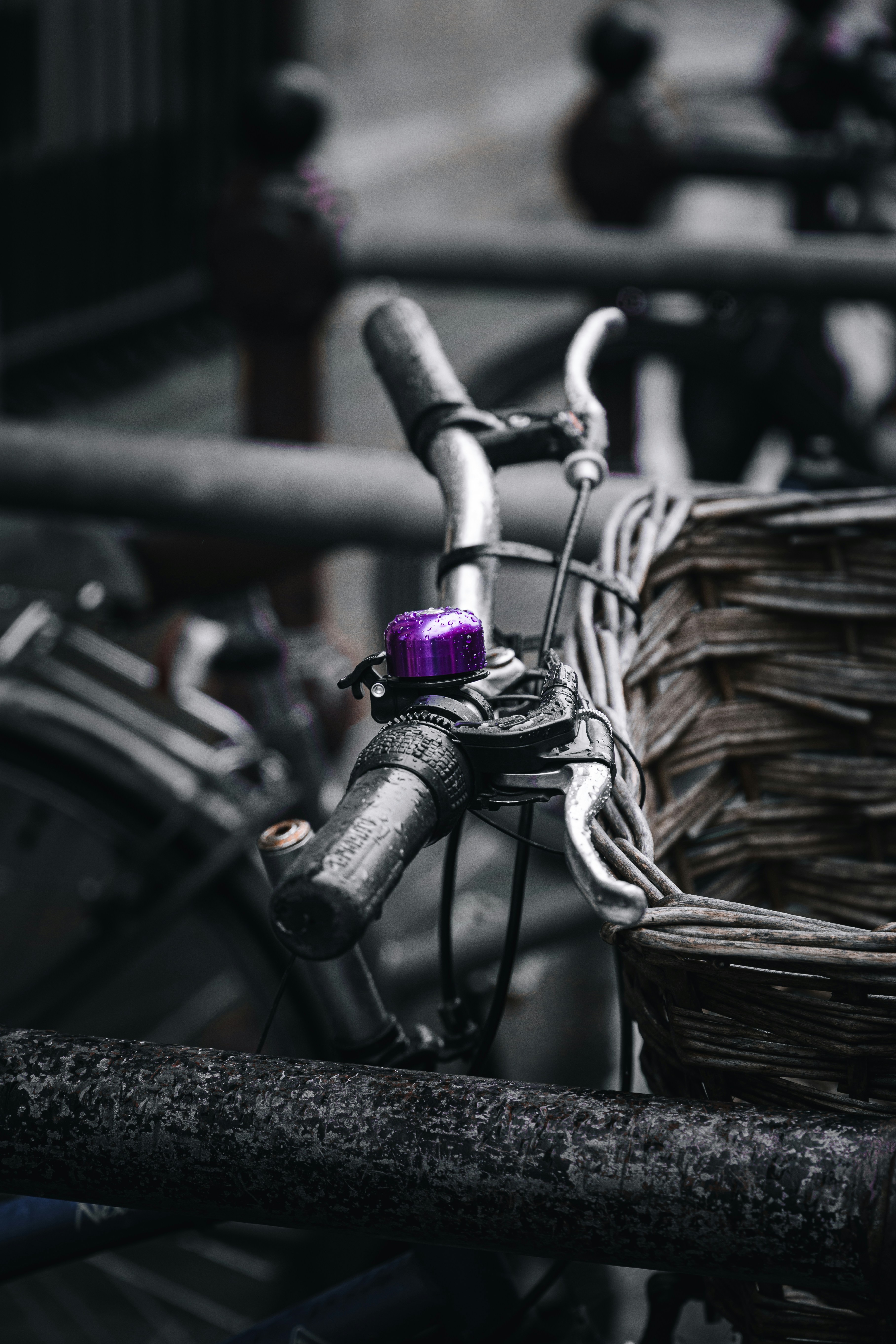 Patina and Plum: Close-Up of a Bicycle Handlebar with a Violet Bell and Wicker Basket