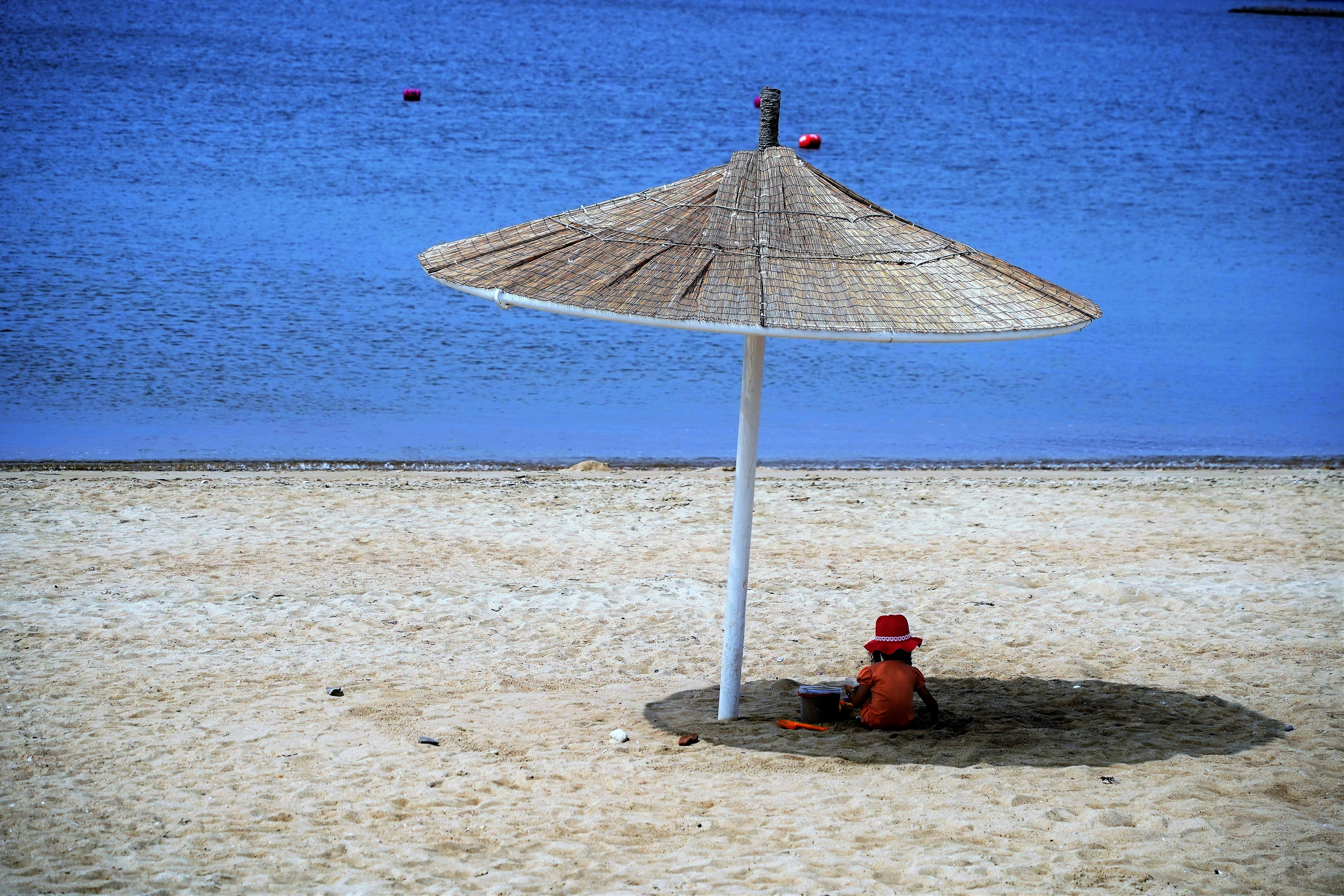 Beach Scene, 바닷가 해변 풍경