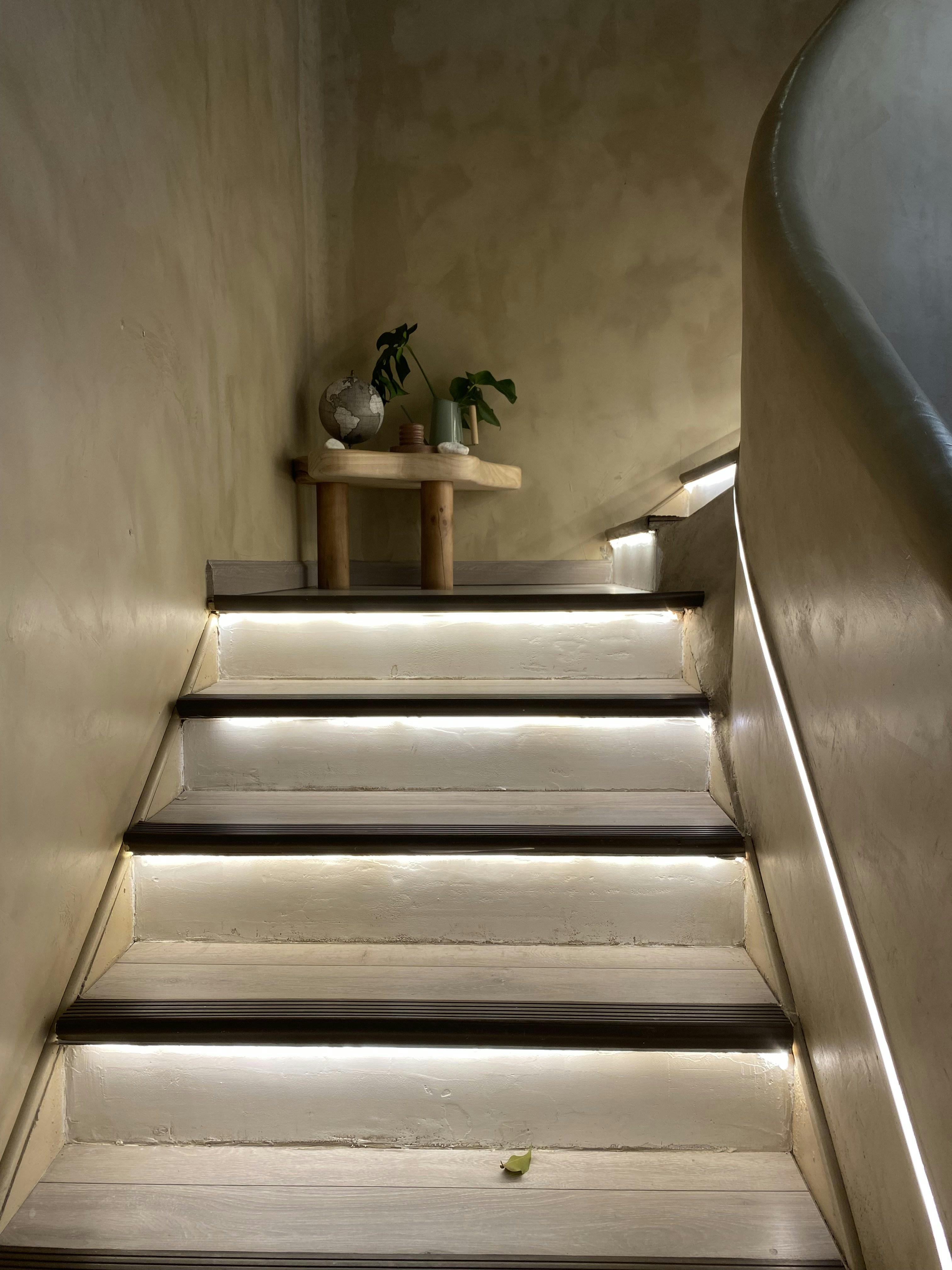 Warm Glow on the Risers: A Quiet Plant Top Oasis in an Urban Stairwell
