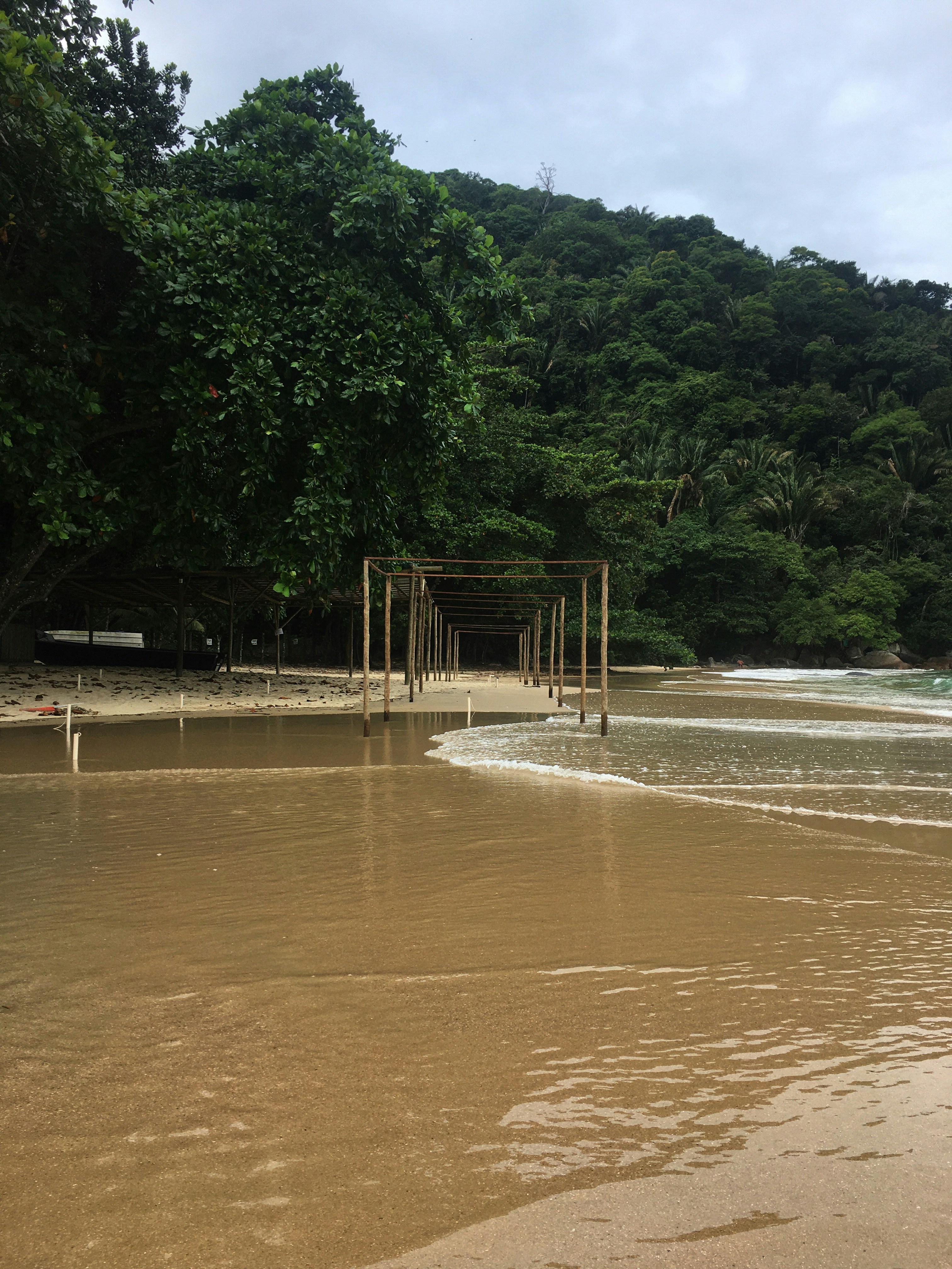 Receding Wooden Arches: A Coastal Path into the Rainforest