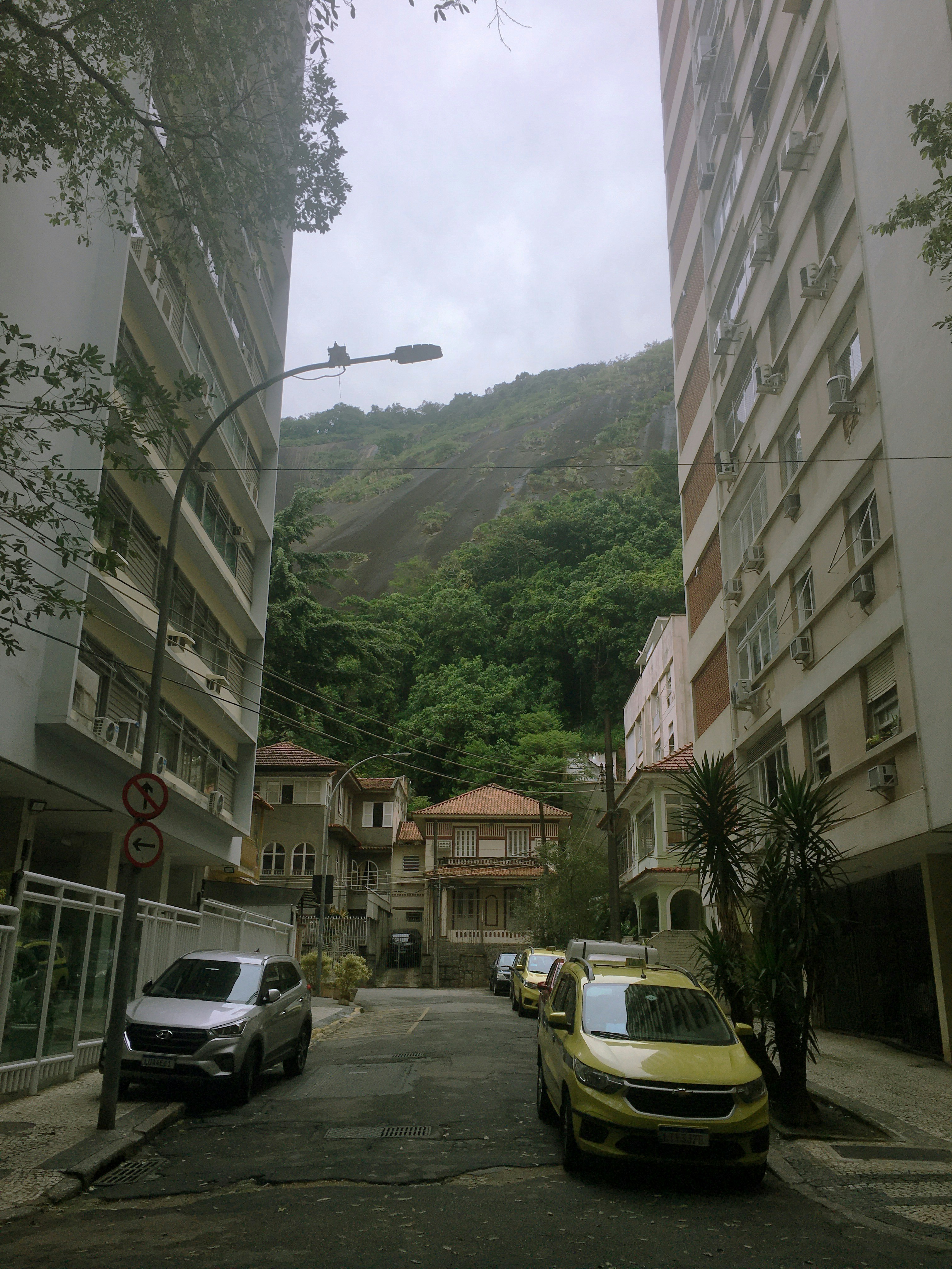 Between City Towers, a Verdant Ridge Emerges