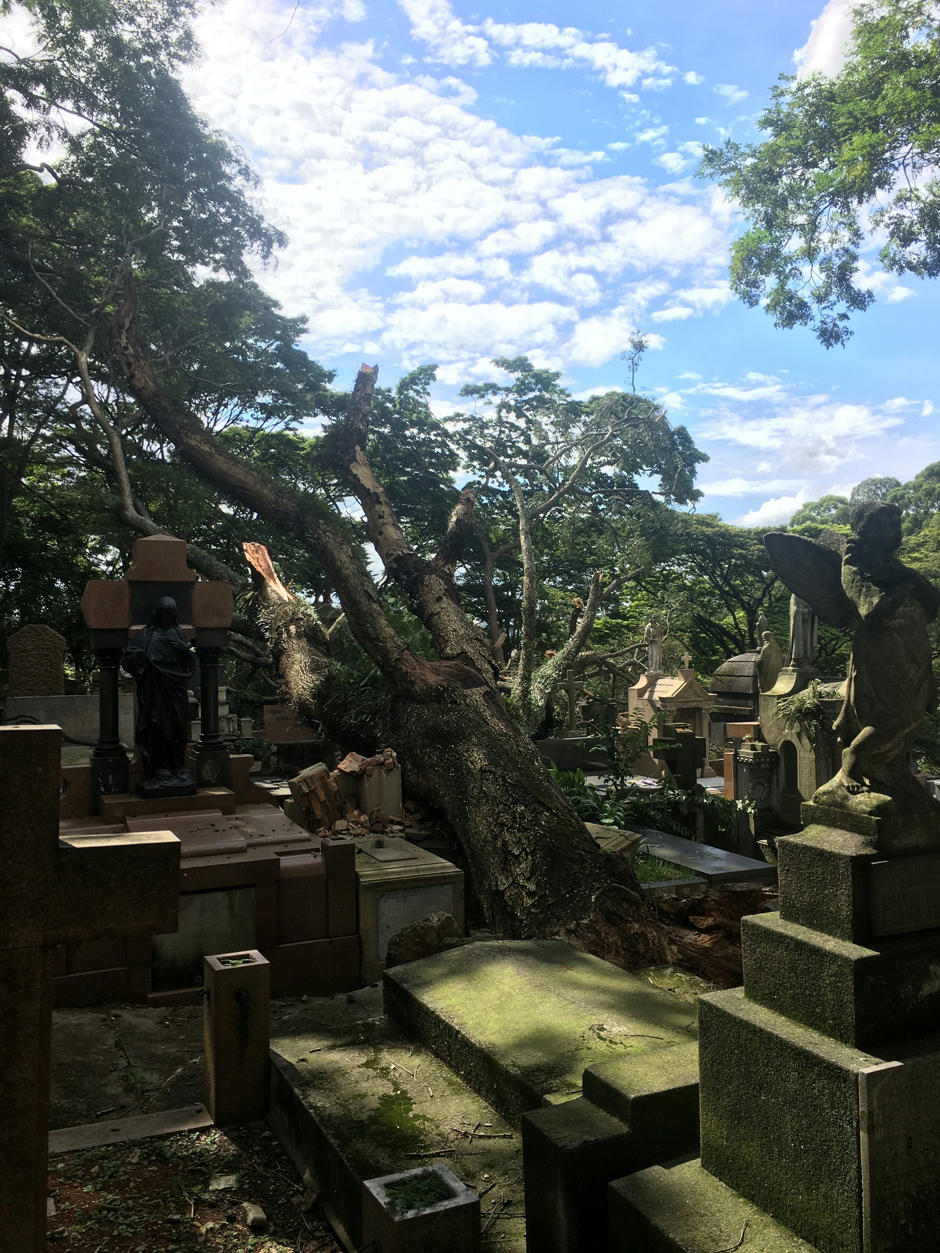 a cemetery with many headstones and trees