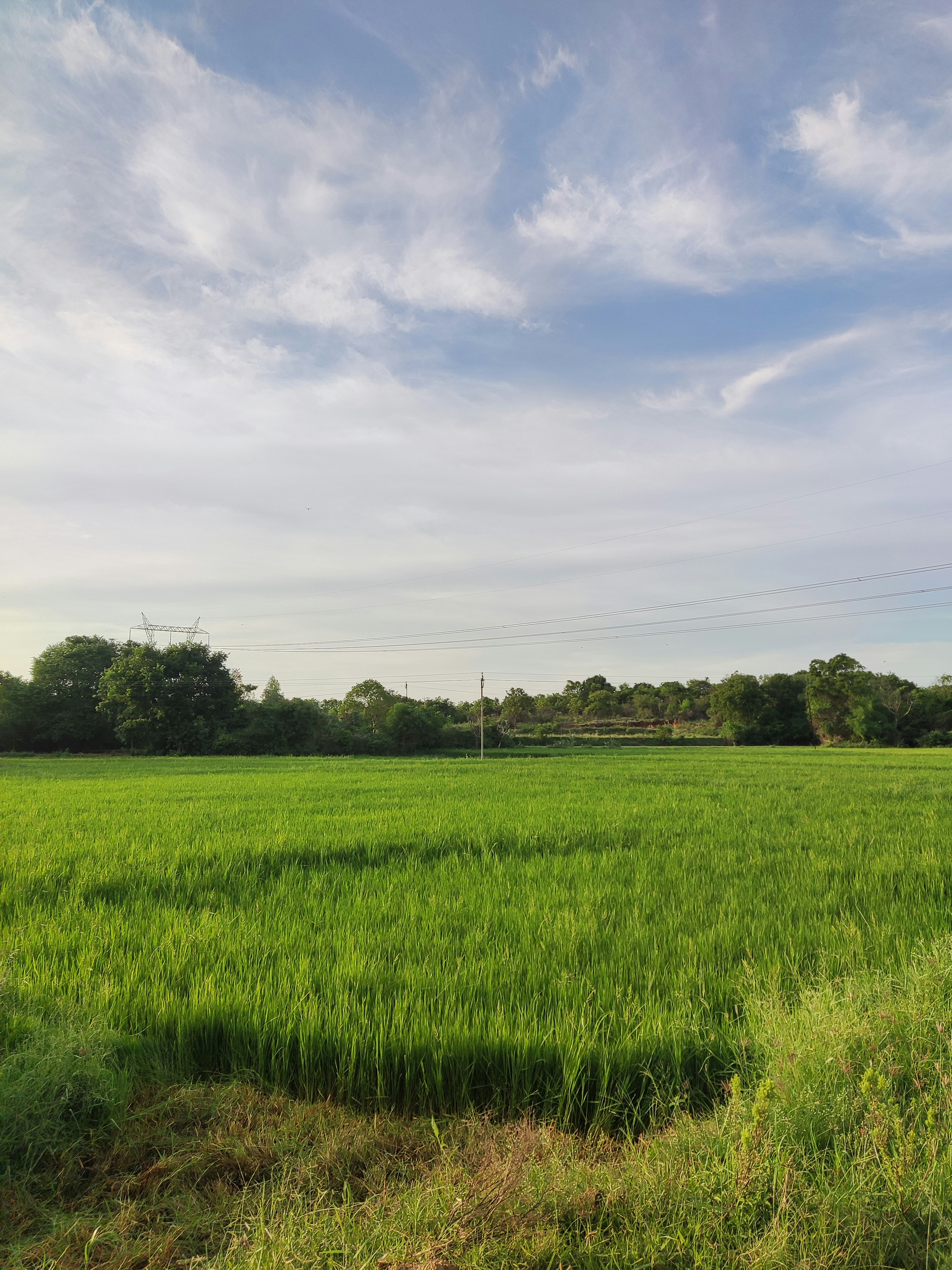 Photo by Vinay Reddy with Xiaomi Mi 11X