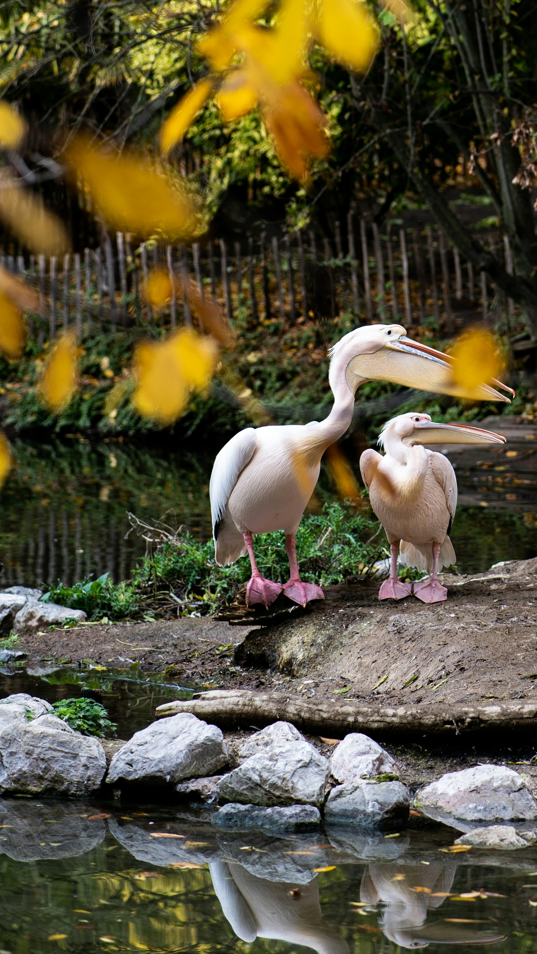 Photo by Jules Kassas with Sony Alpha 7 III