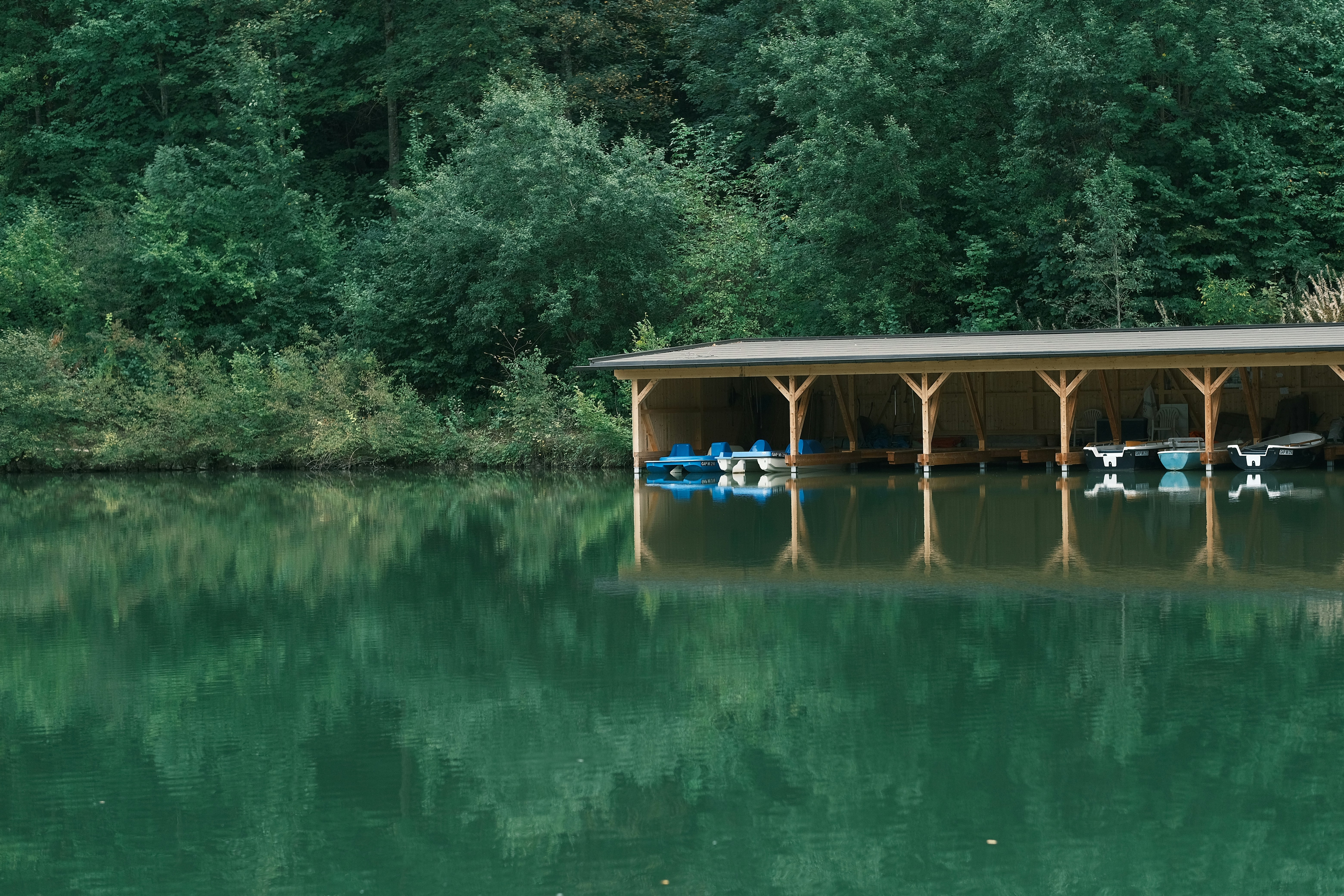 Wooden dock with boats reflected in a calm, green lake surrounded by dense trees.