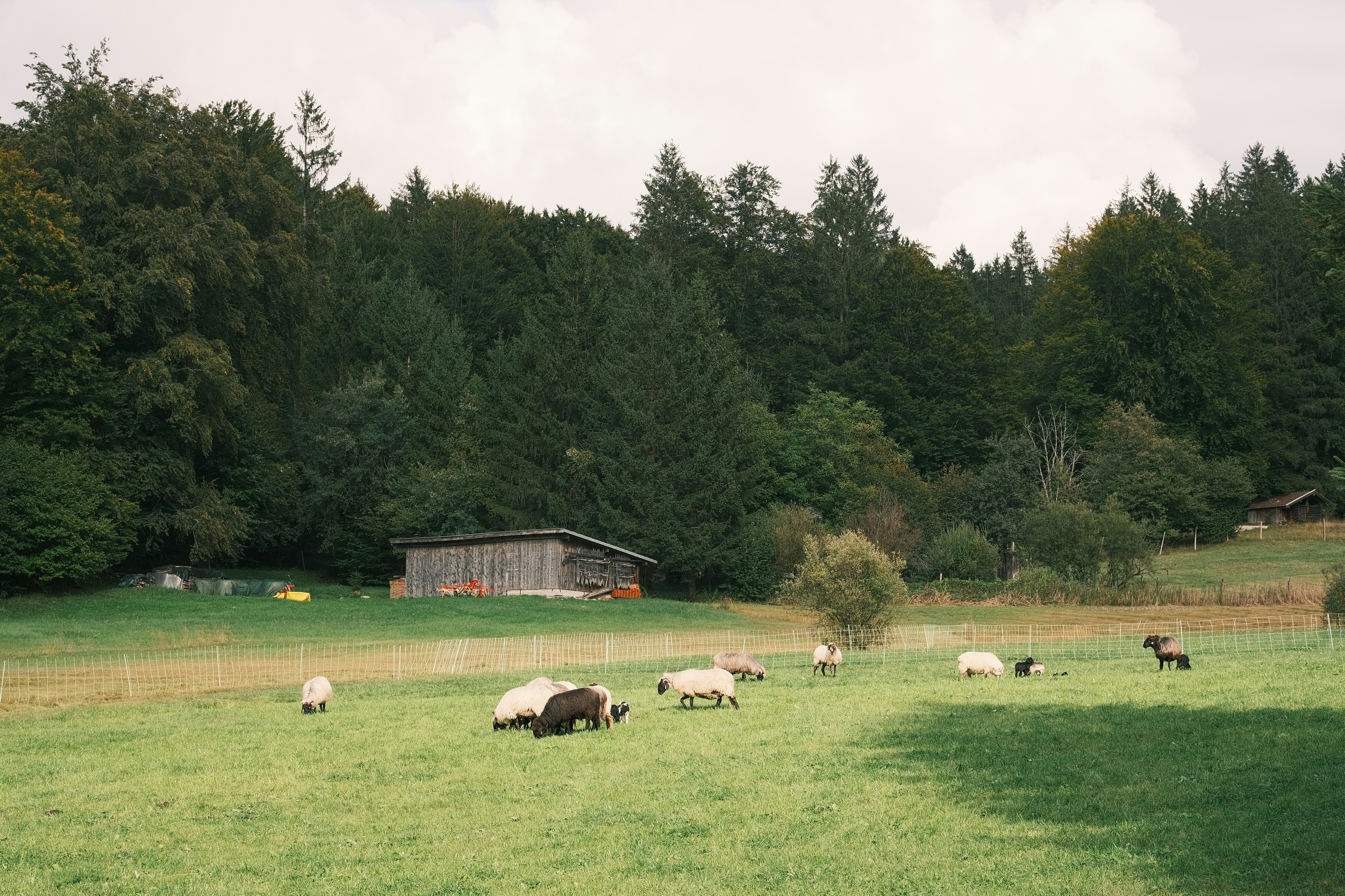 Photo by Nk Ni with Fujifilm X-T30 II