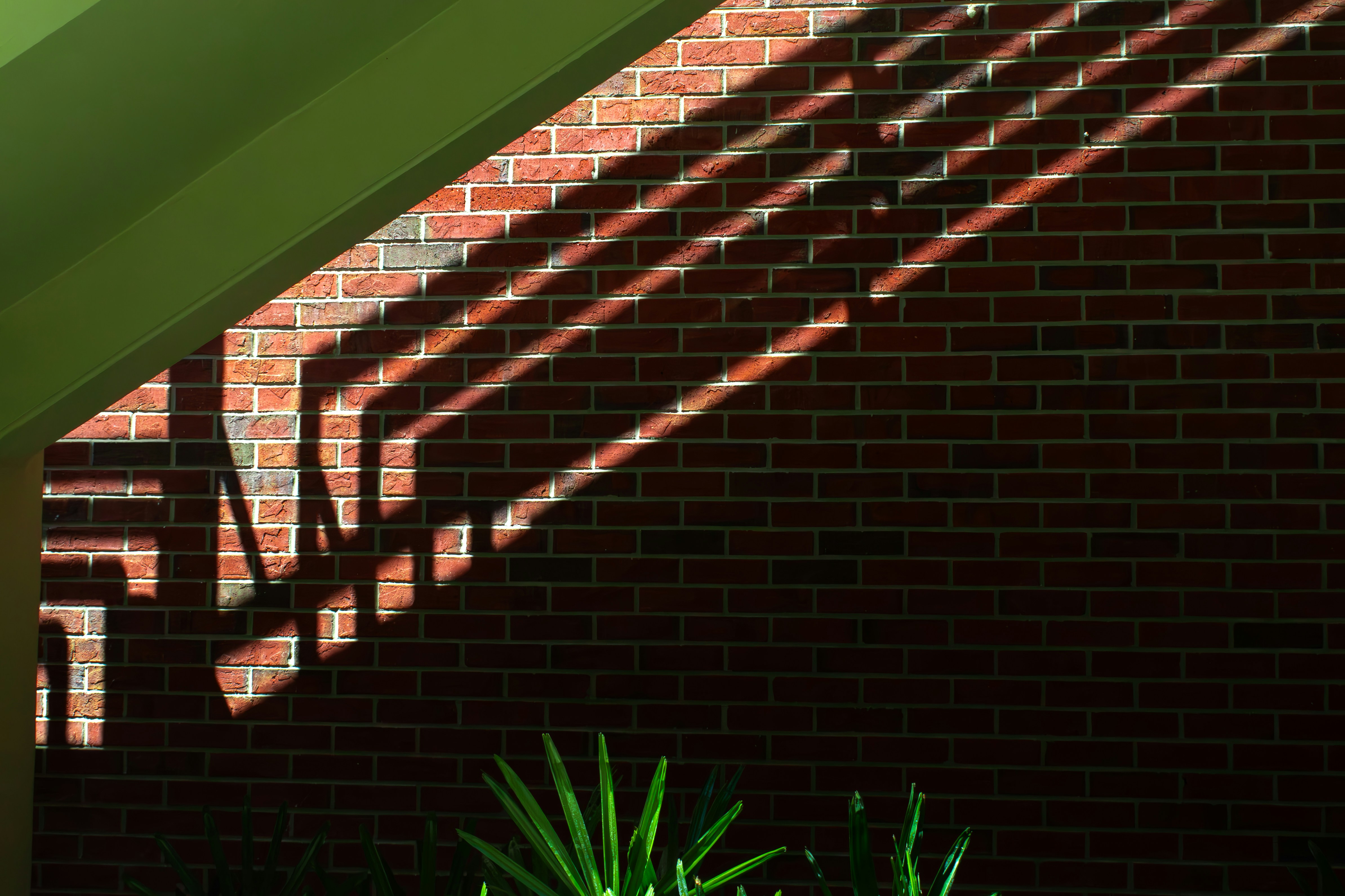 Photo by Chelsey Marques with Nikon D7100