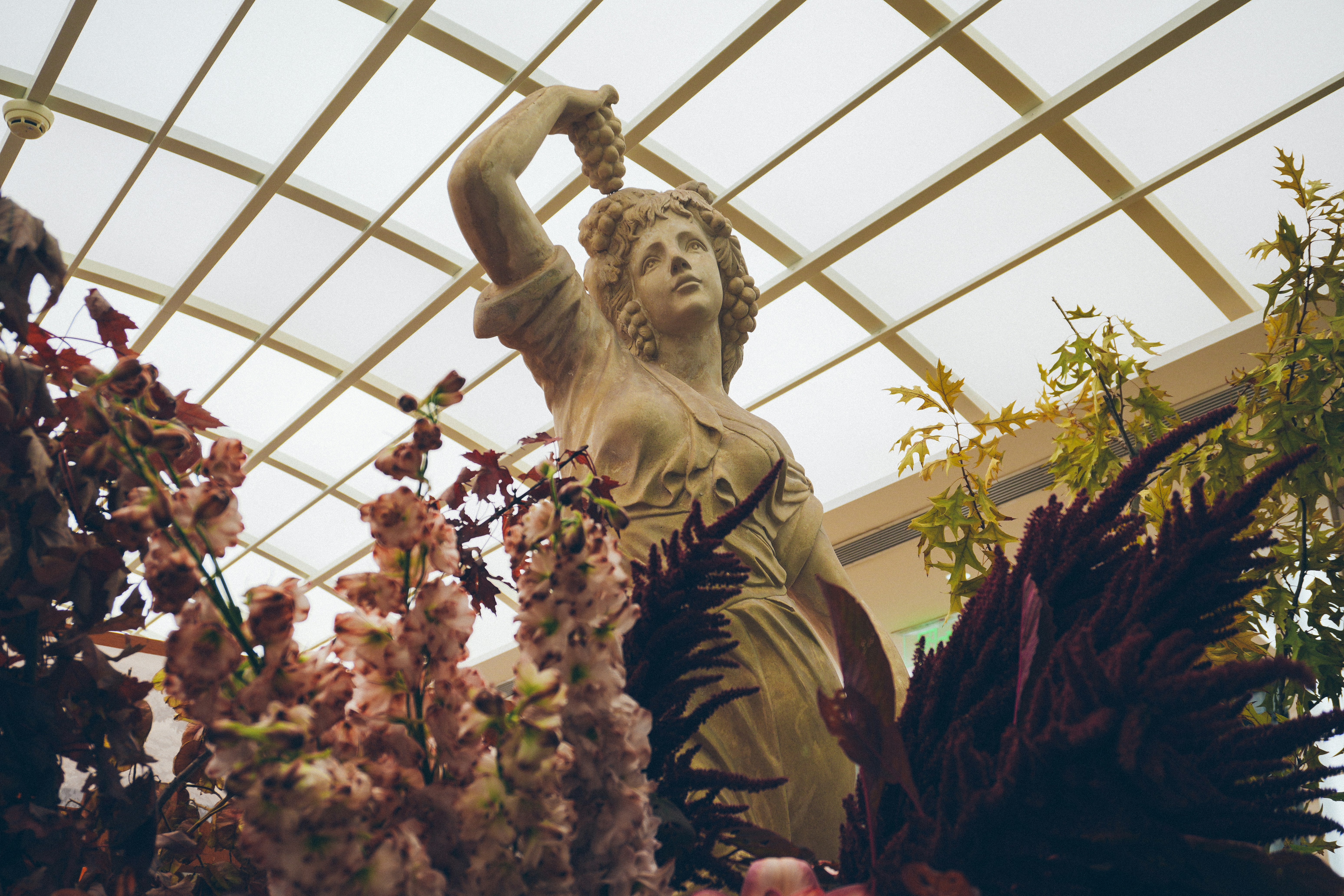 A statue of a woman is surrounded by flowers photo – Free Garden Image ...