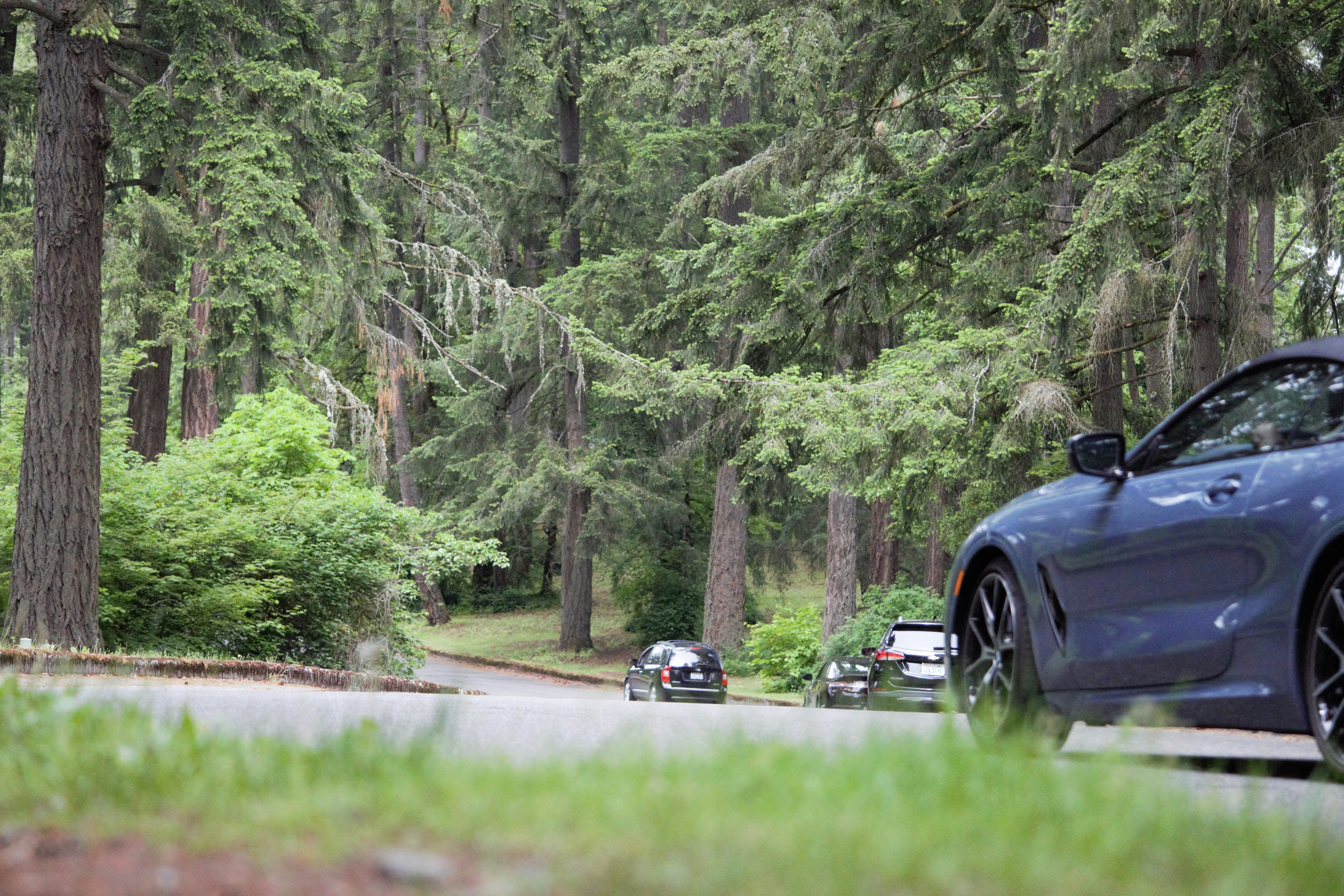 A blue sports car driving down a forest road photo – Free Cars Image on ...