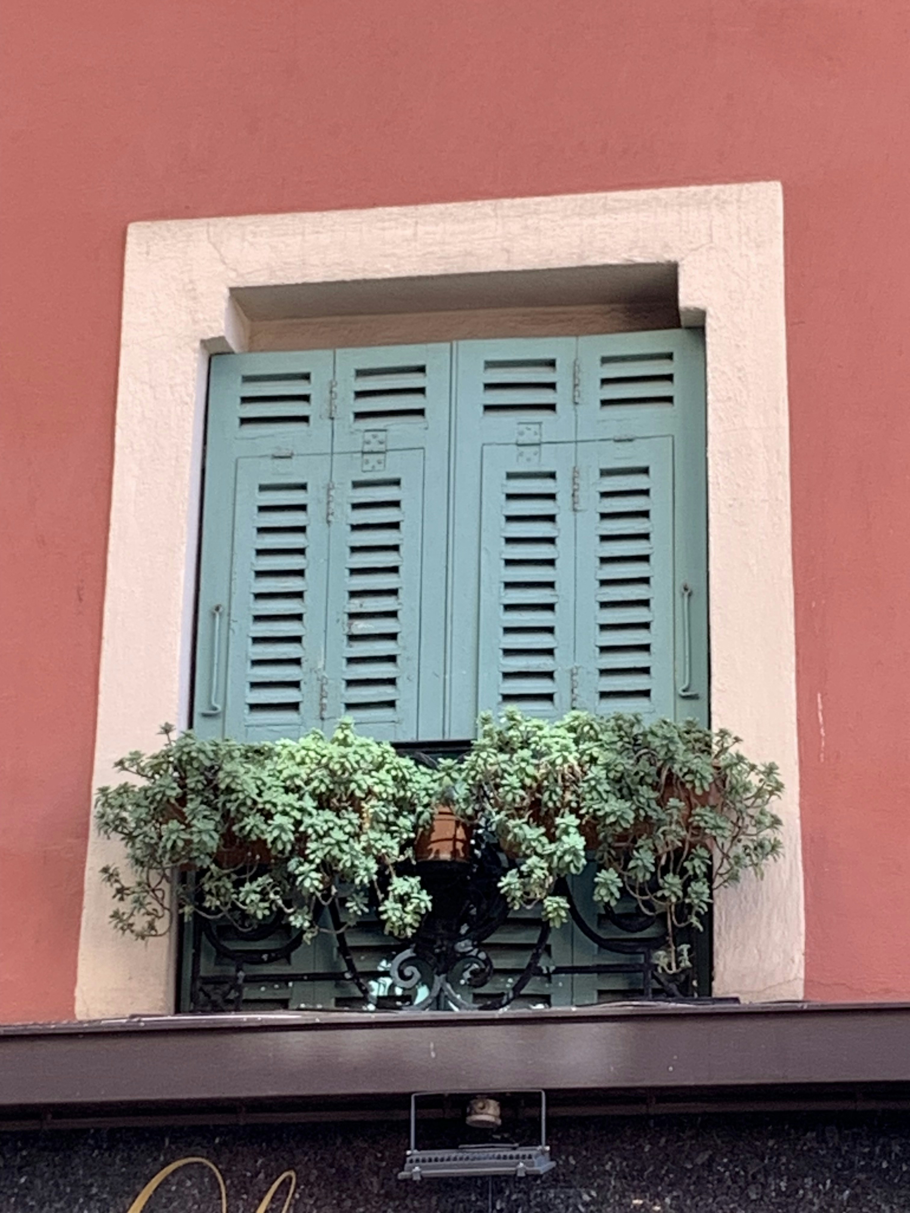 A window with green shutters and potted plants photo – Free Window ...