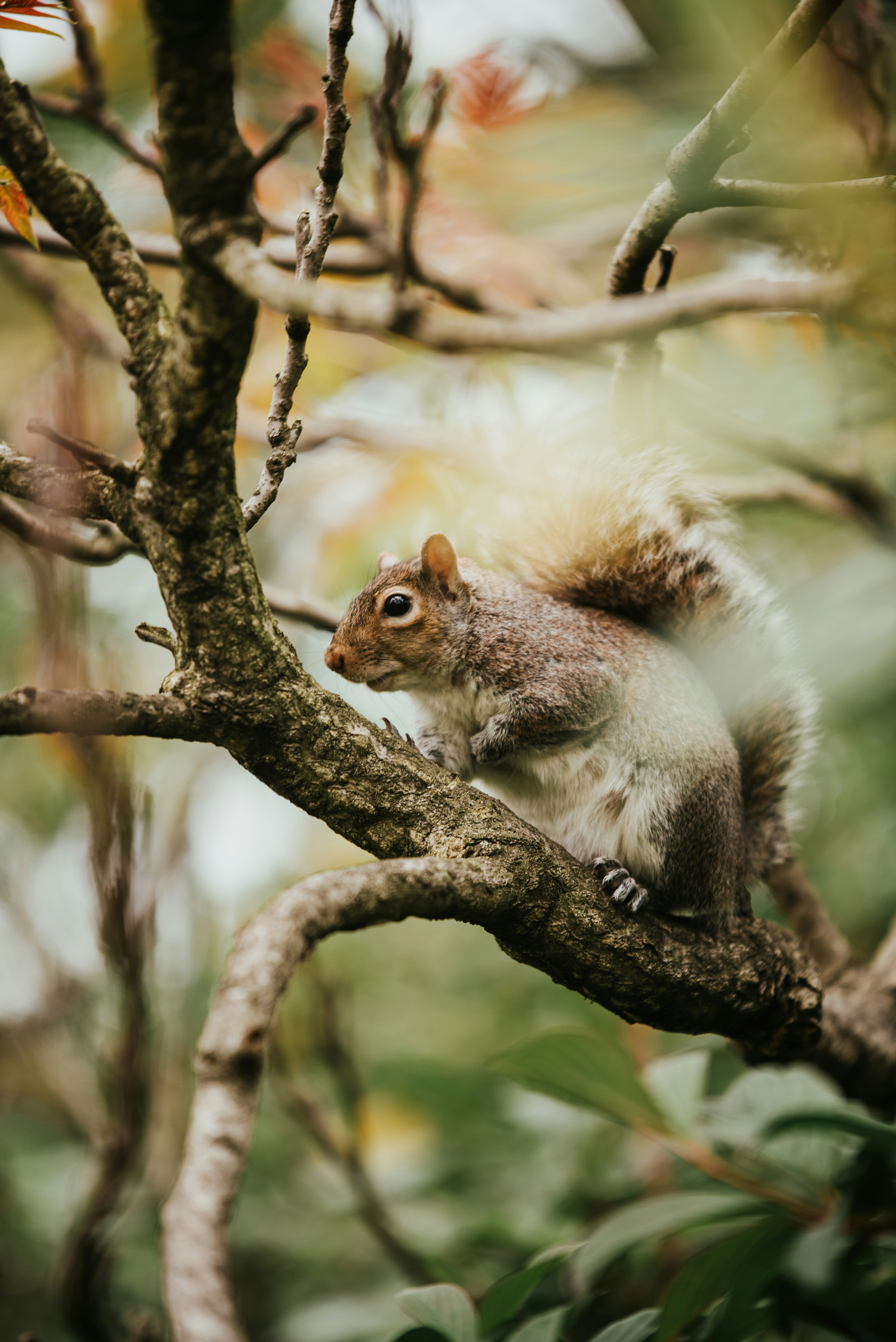 Photo by Silas Schneider with Nikon D750