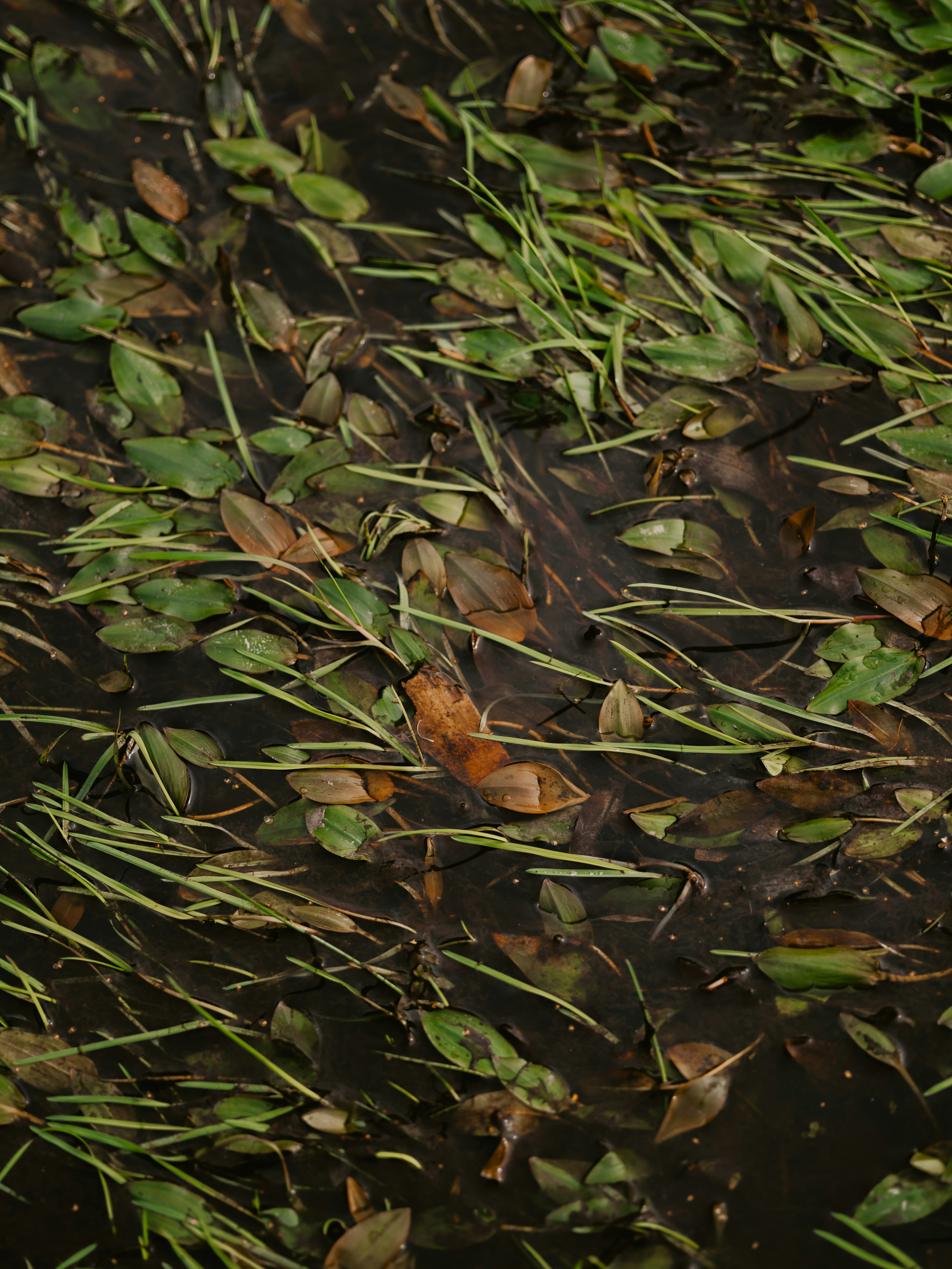 Photo by Annie Spratt with Ricoh PENTAX 645Z