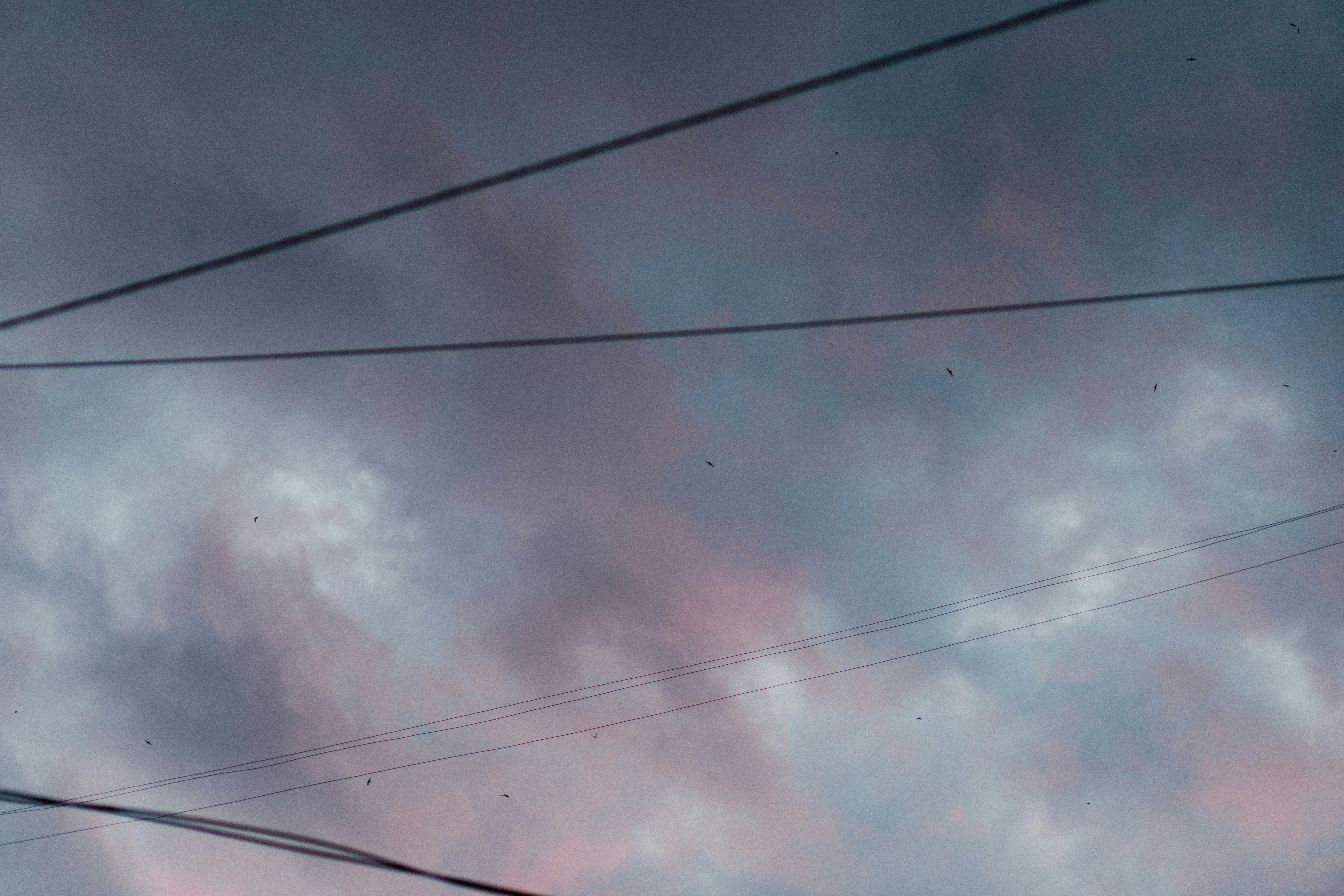 Twilight Threads: pastel clouds braided by power lines