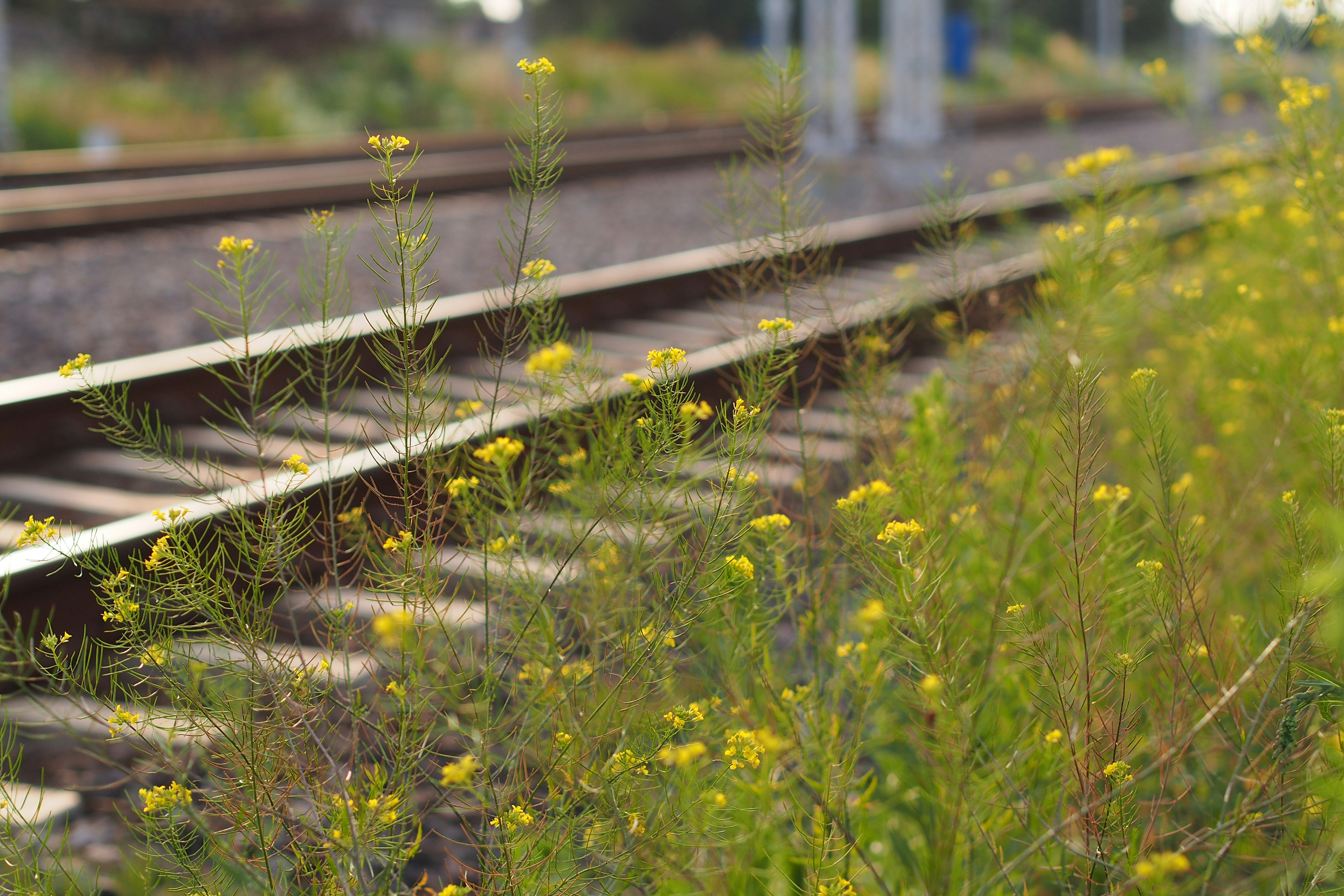 Photo by Aleksandra Zienkiewicz with Olympus OM-D E-M5