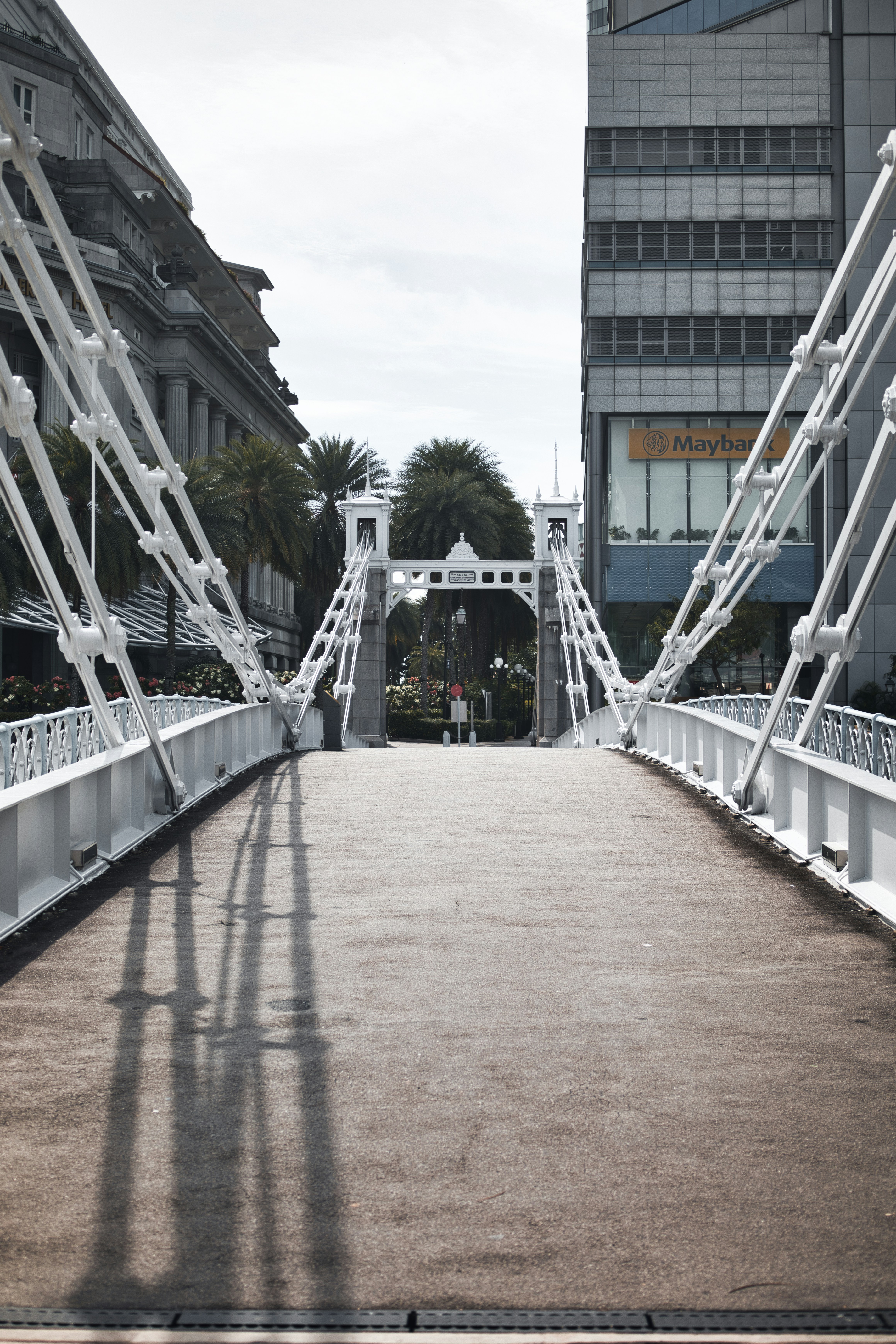 Vanishing Lines on a White Suspension Bridge Toward a Palm-Fringed City Plaza