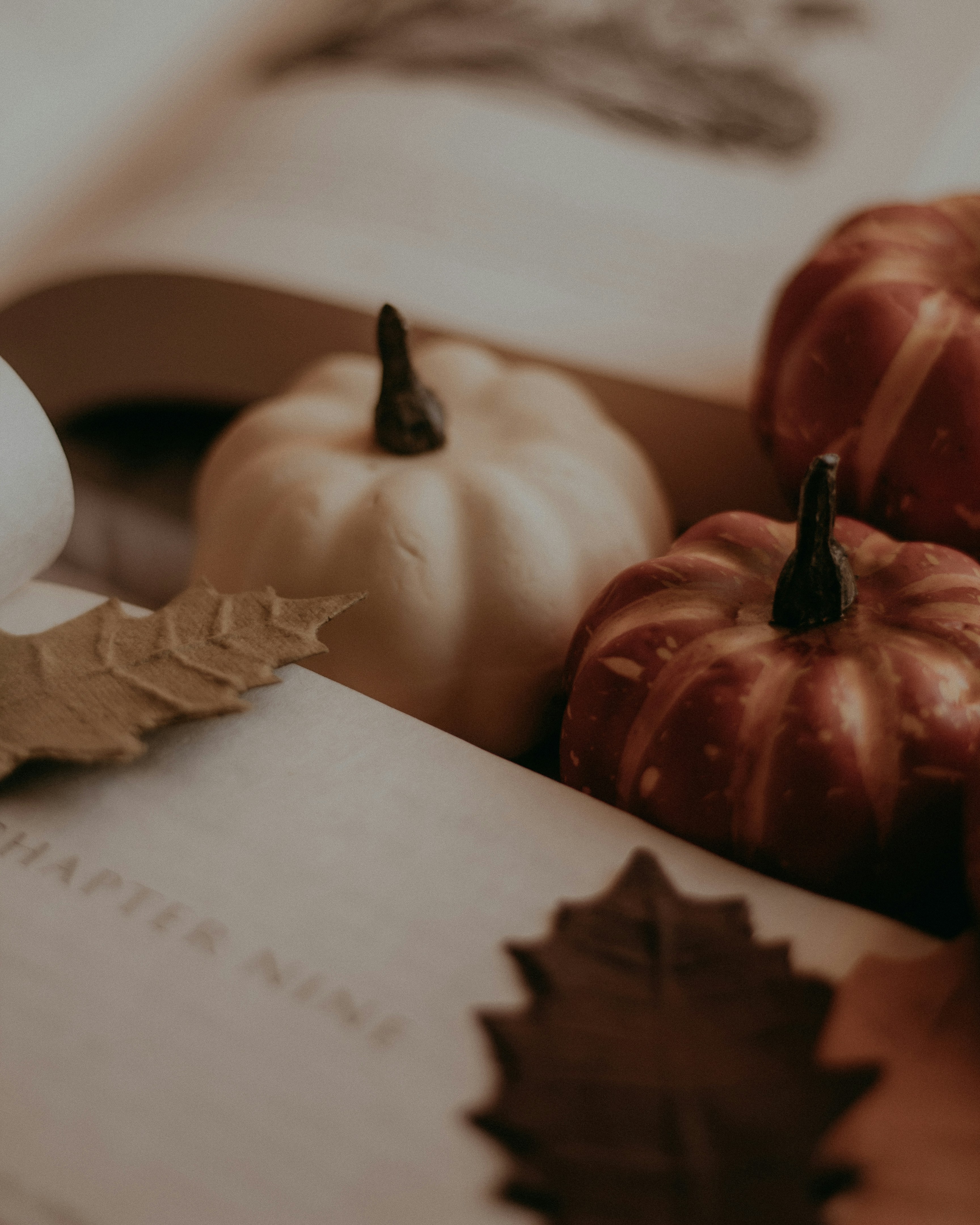Muted Autumn Still-Life: Cream Pumpkin Nestled Among Leaves and Rusty Gourds