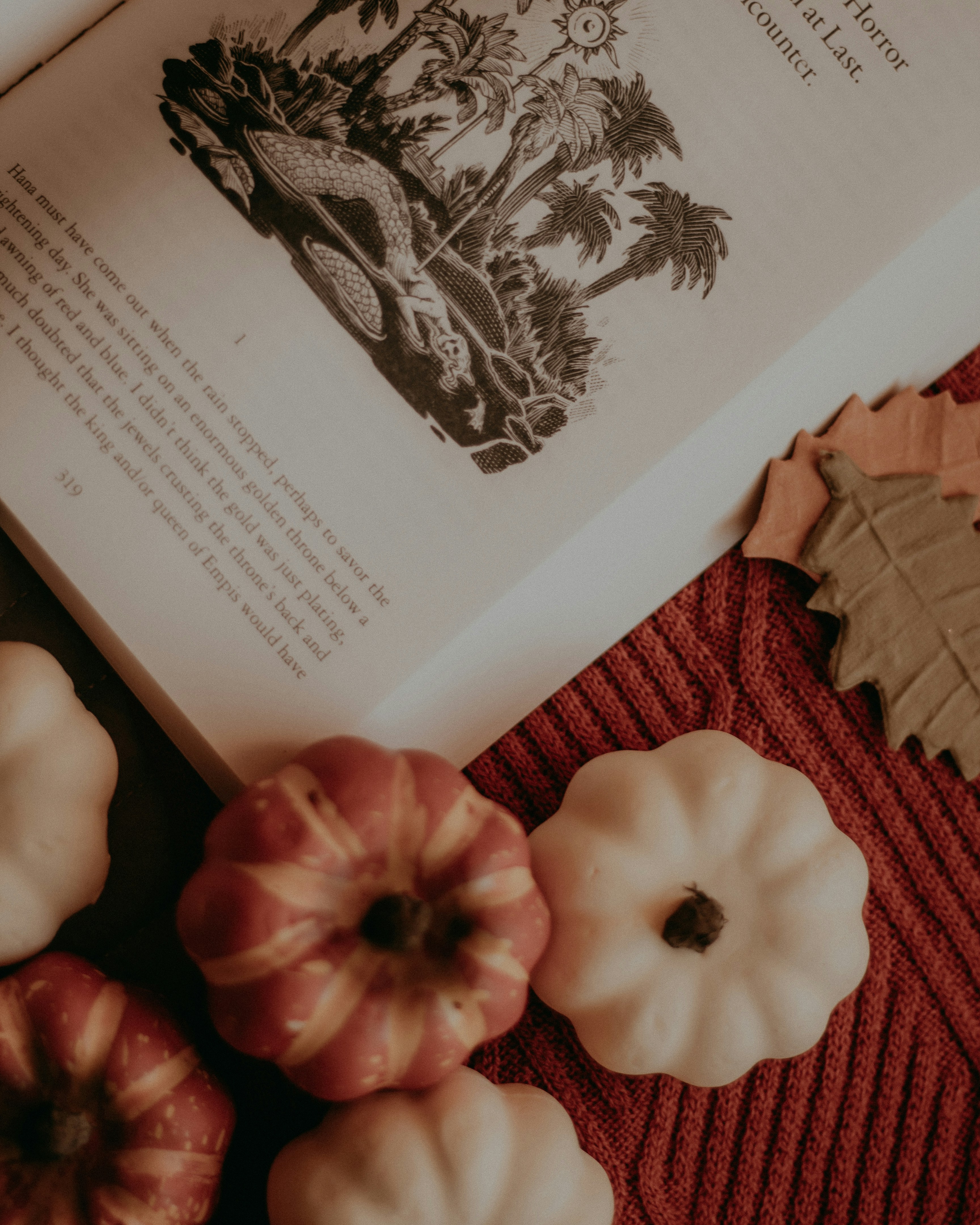 Pumpkins and Pages: A Quiet Autumn Studio Still Life