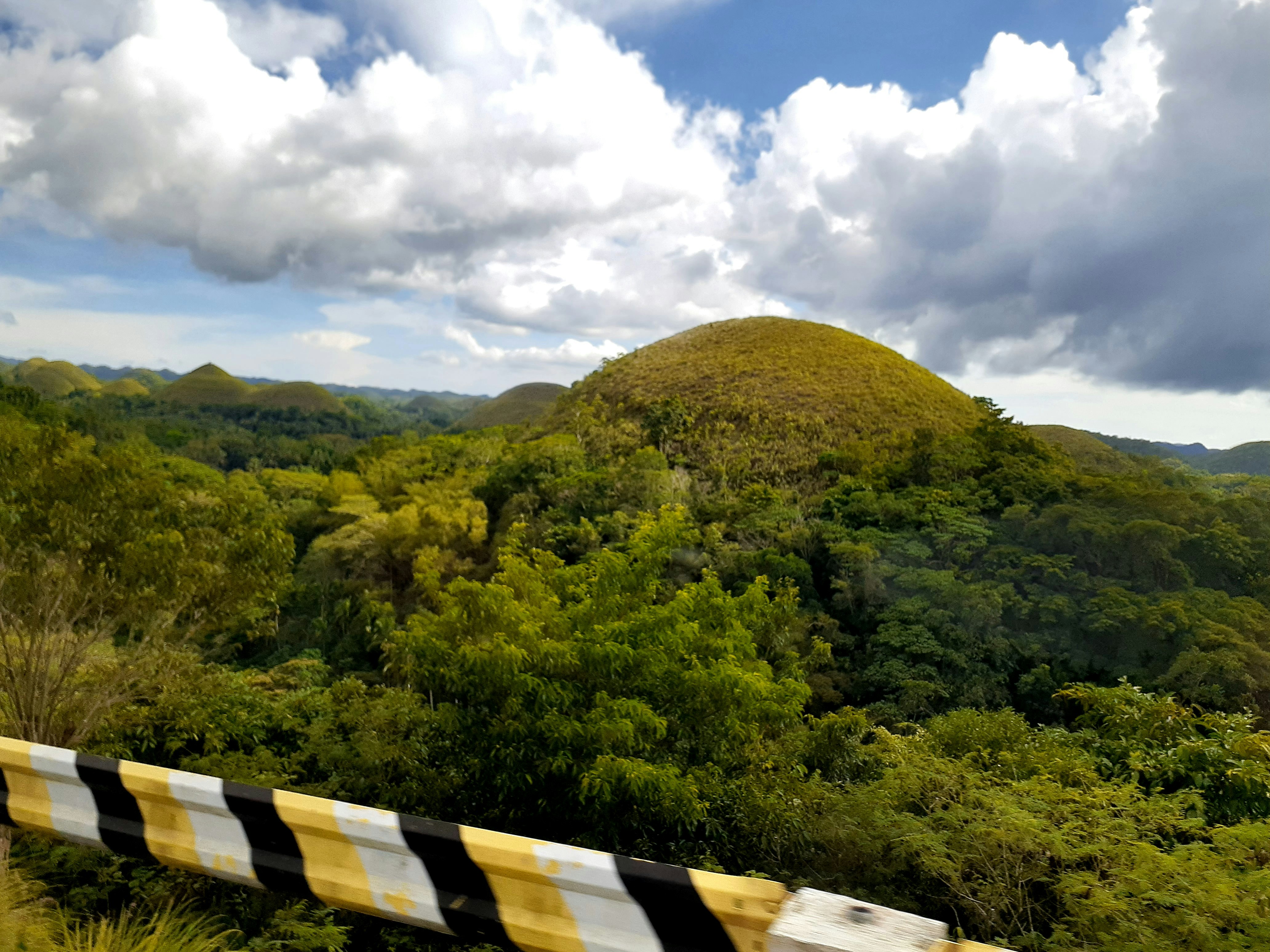 A view of a lush green forest with a mountain in the background photo ...