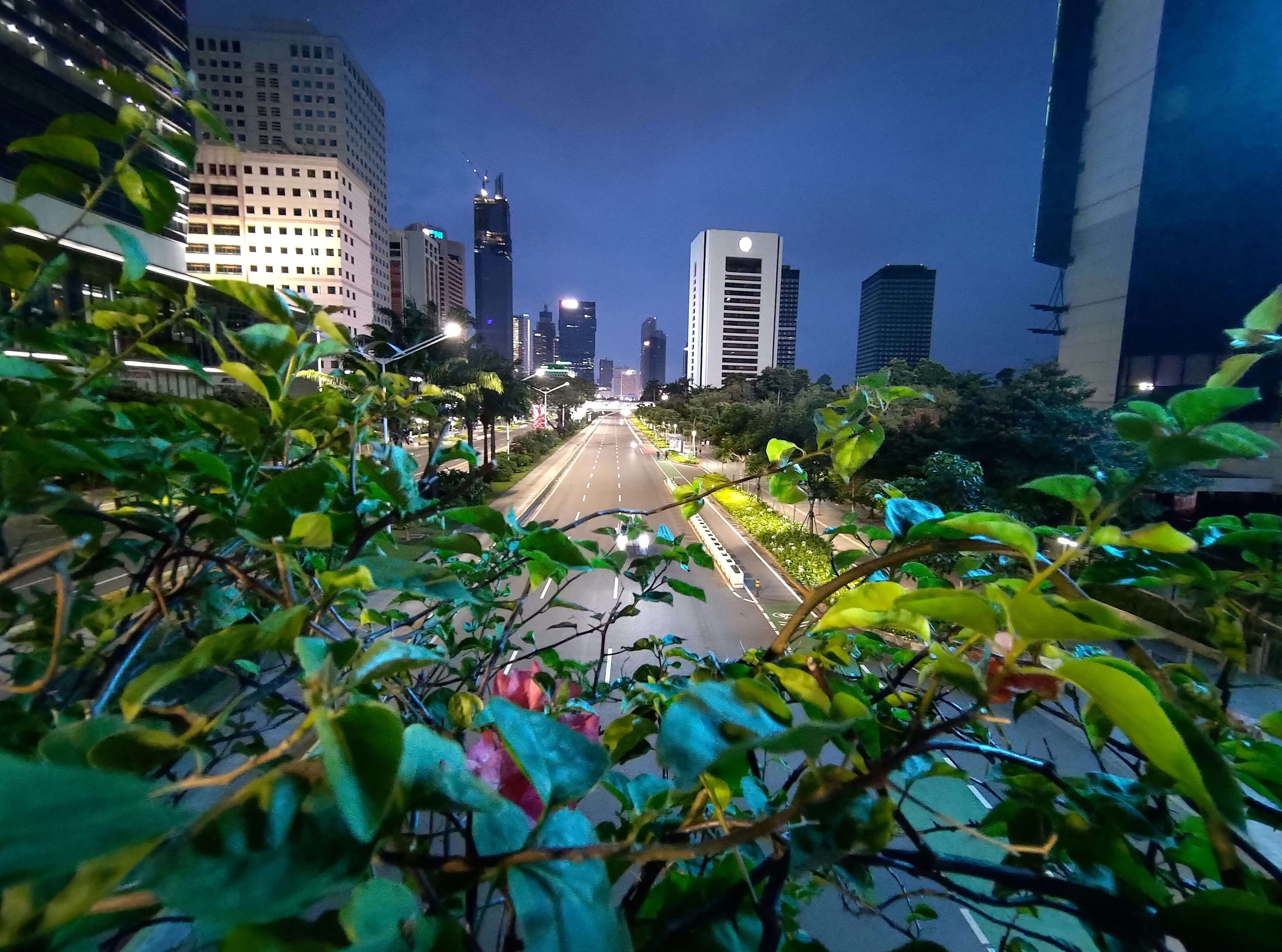 Vibrant greenery frames a quiet urban street illuminated by city lights at night. The scene captures a harmonious blend of nature and architecture.