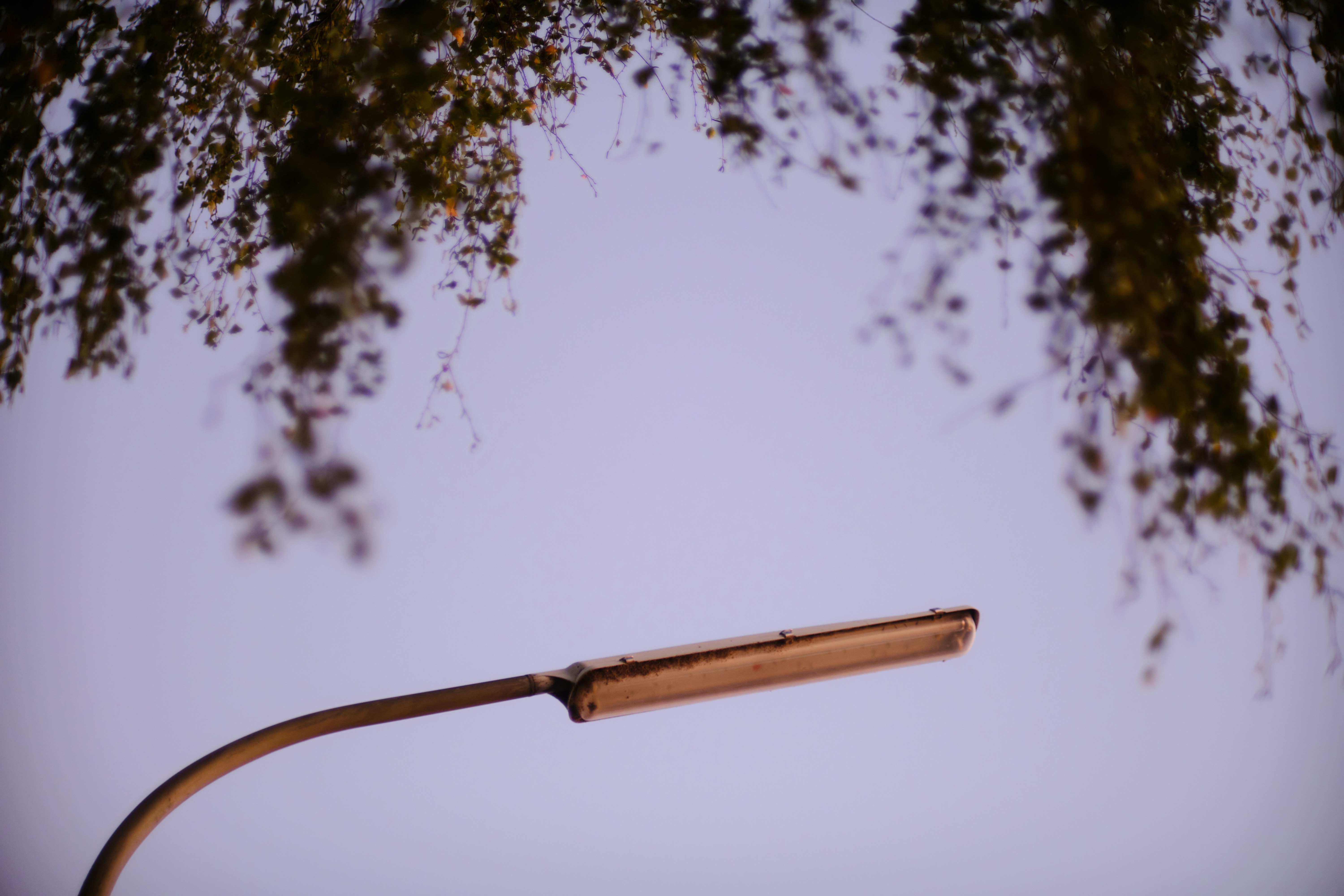 Photo by Michael Förtsch with Fujifilm X-H1