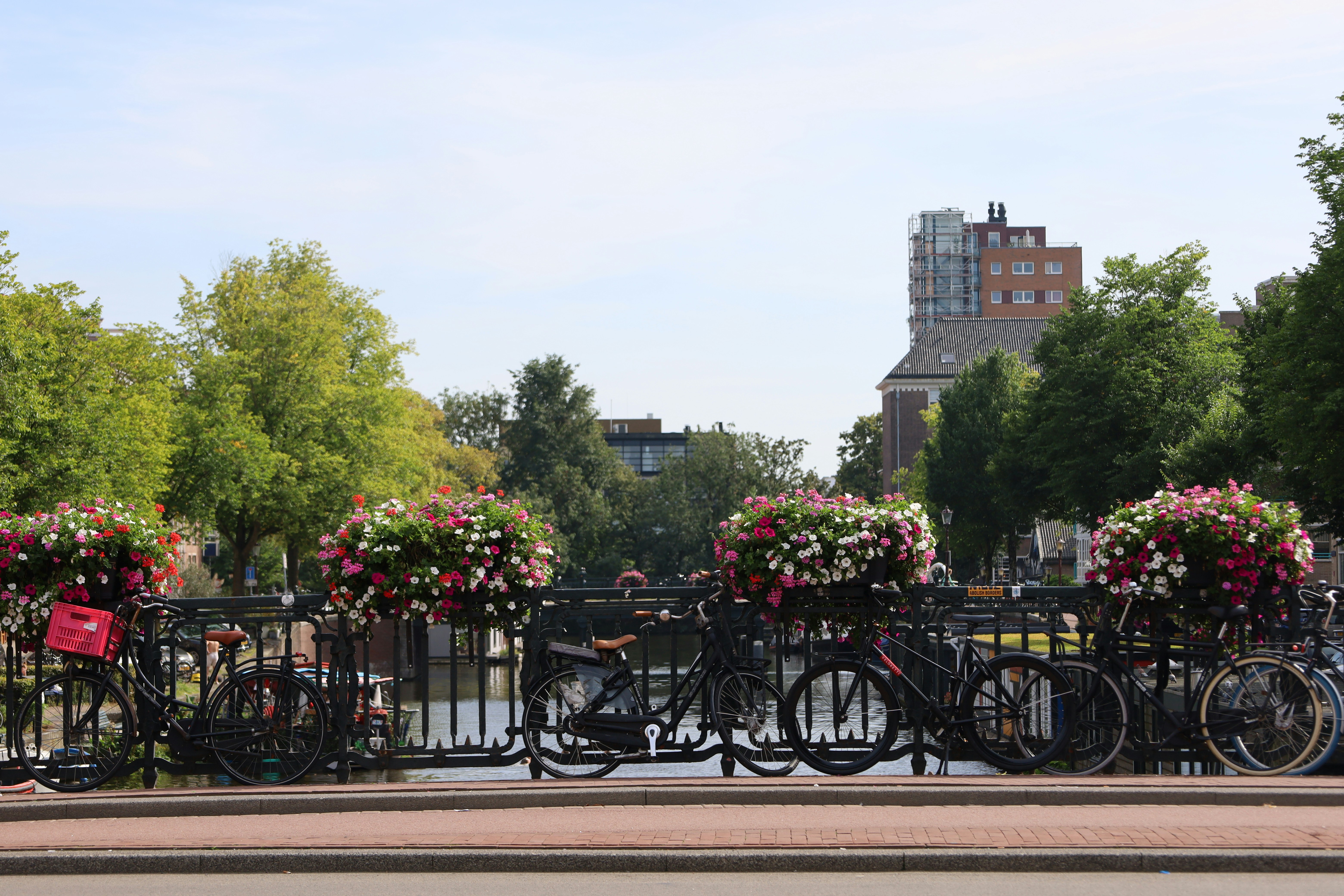 Bicycle Row with Hanging Flowers Over a Waterfront Path