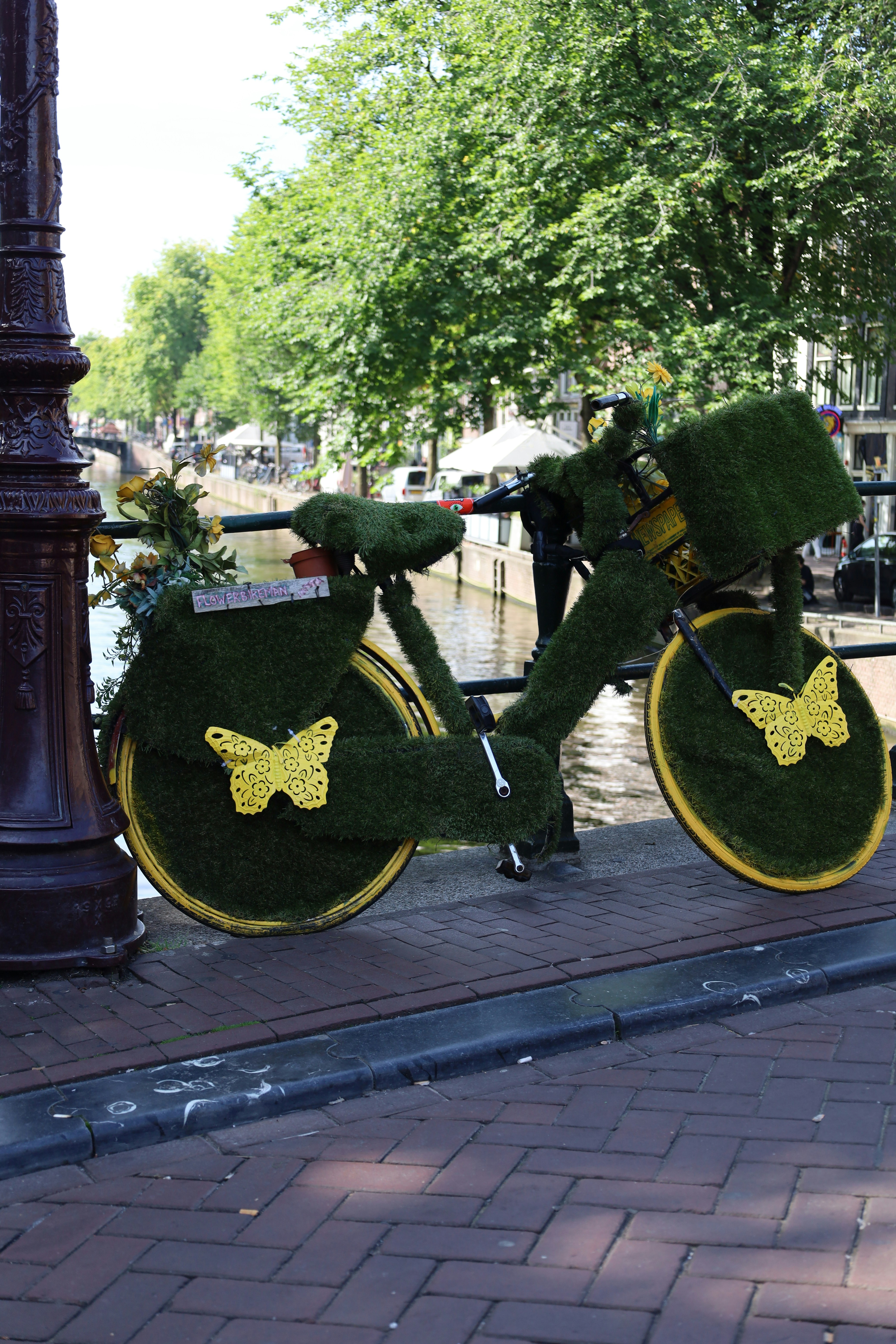Verdant Bicycle by the Canal: Grass-Grown Frame with Butterfly Emblems
