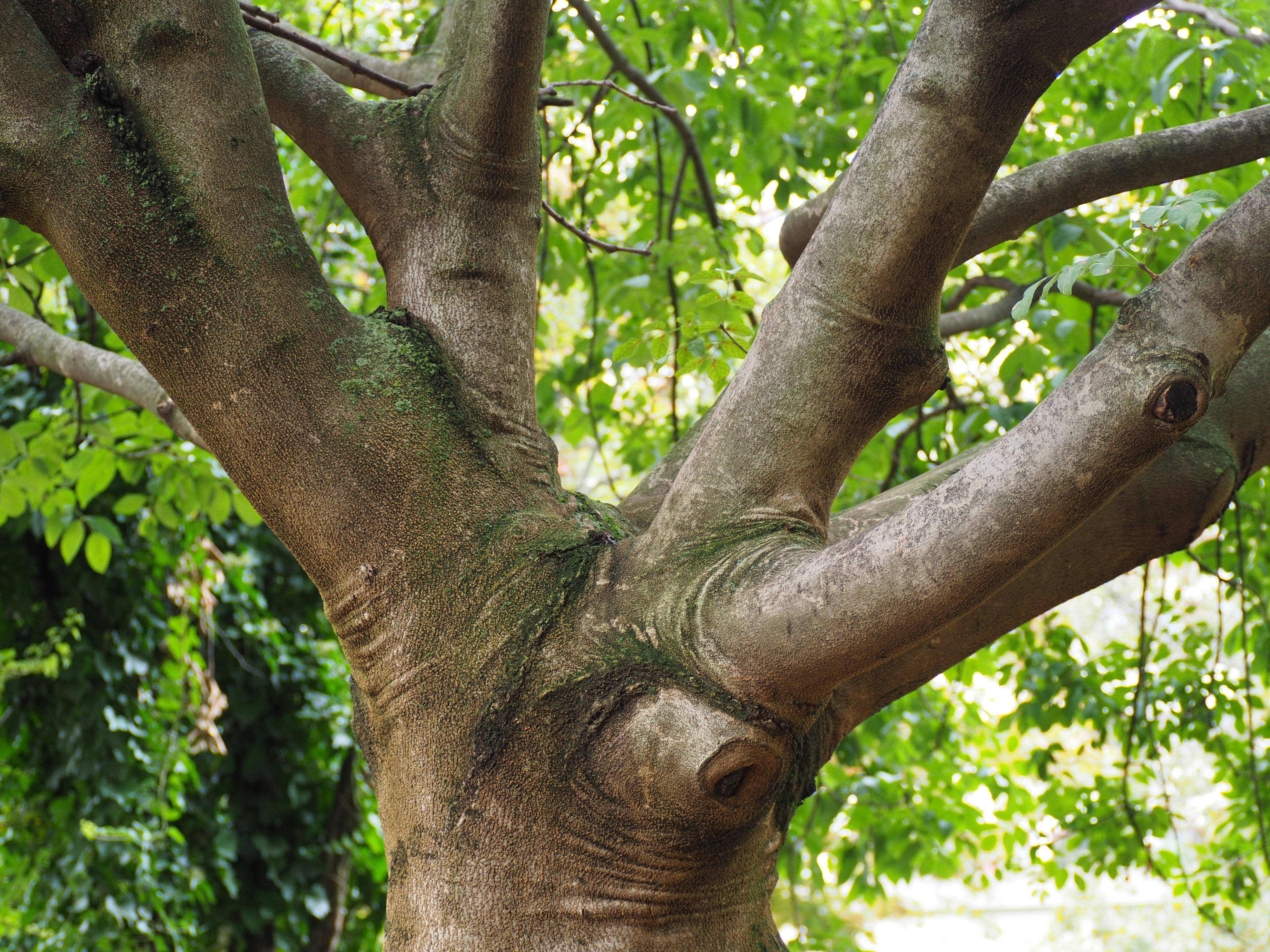 Photo by Tibor Pinter with Olympus OM-D E-M10 Mark II