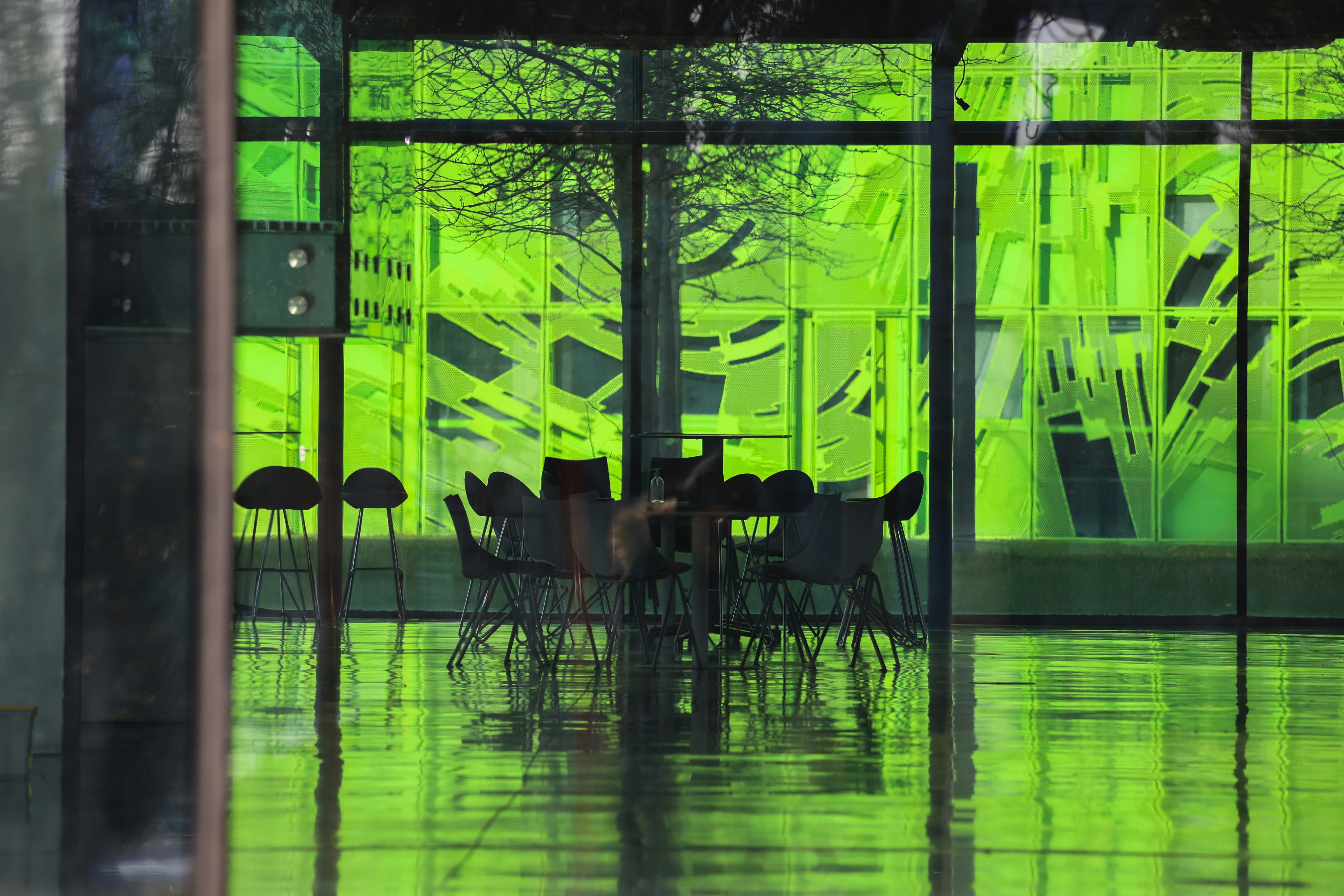 Neon Atrium Echoes: A Quiet Conference Space through Green Glass