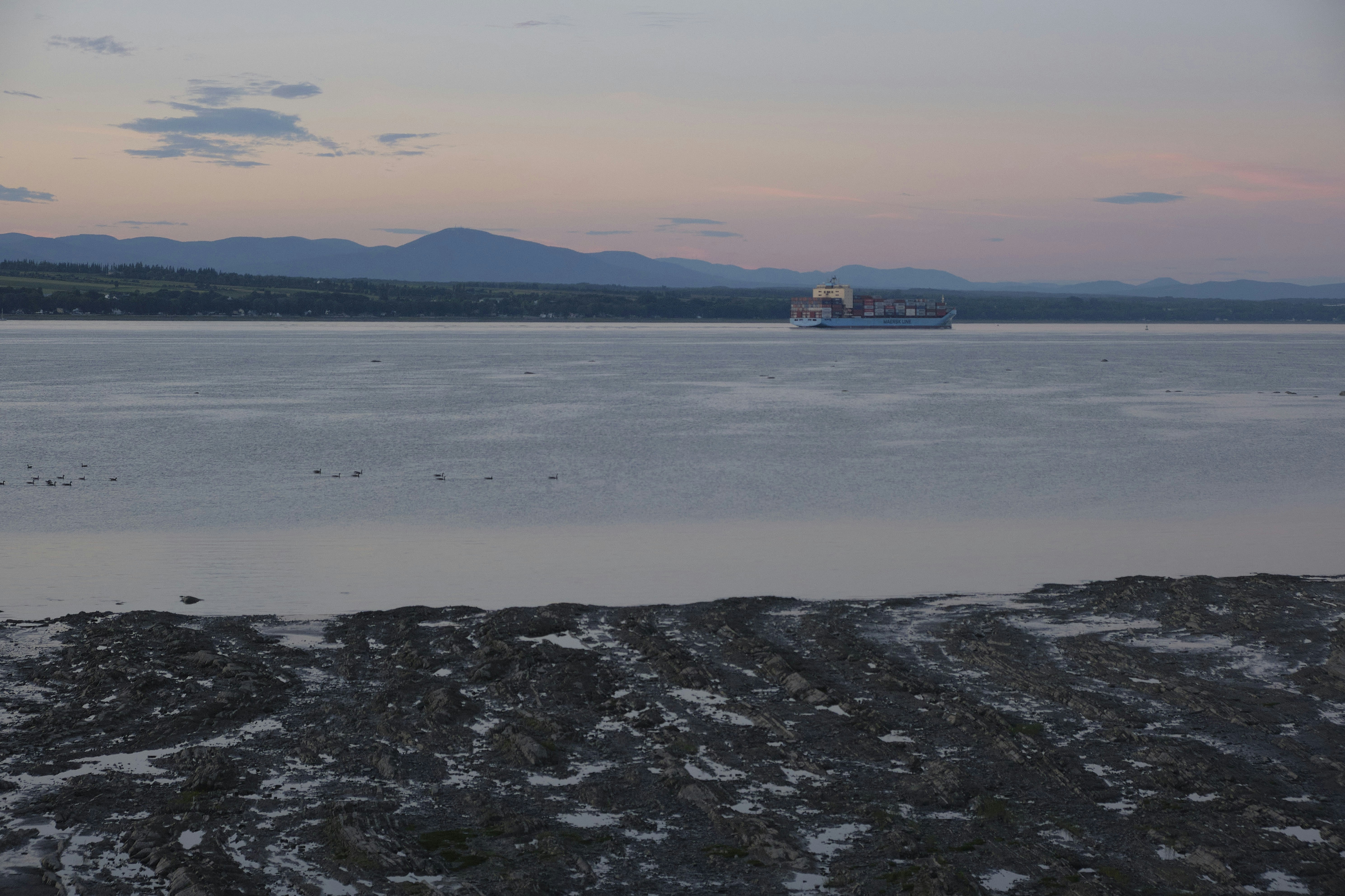 djuD (@djud) | Unsplash Photo Community