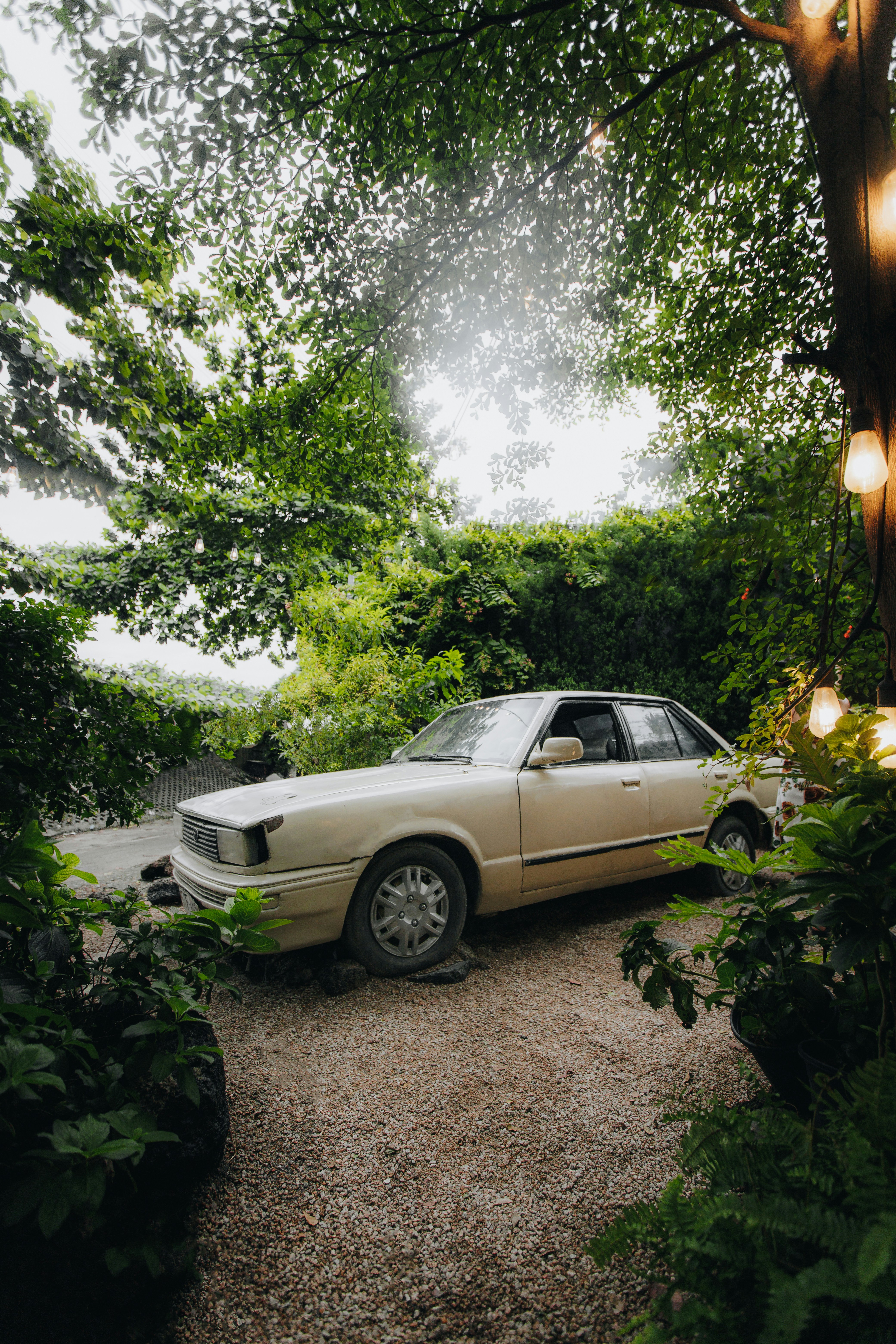 A car parked in a driveway surrounded by trees photo – Free Hồ chí minh ...