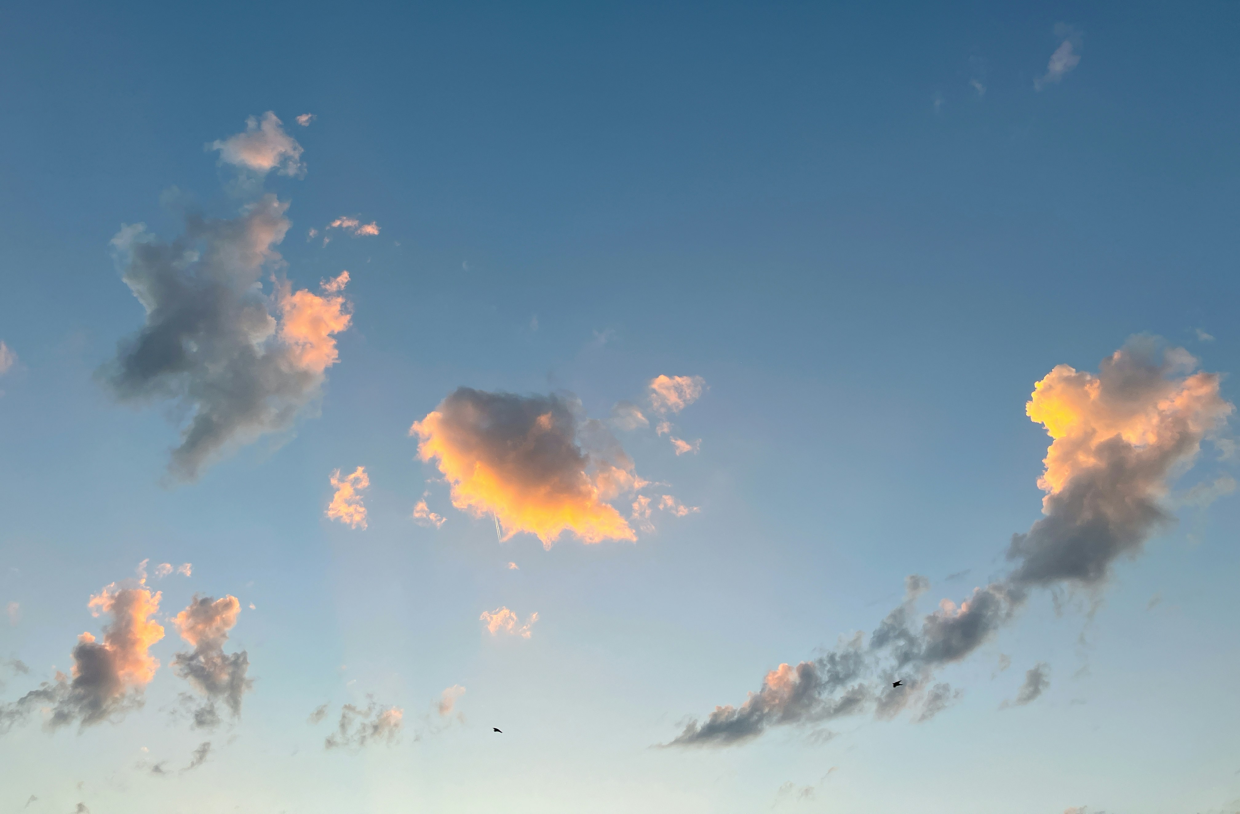 Christopher Riggs (@xopheriggs) | Communauté photos Unsplash