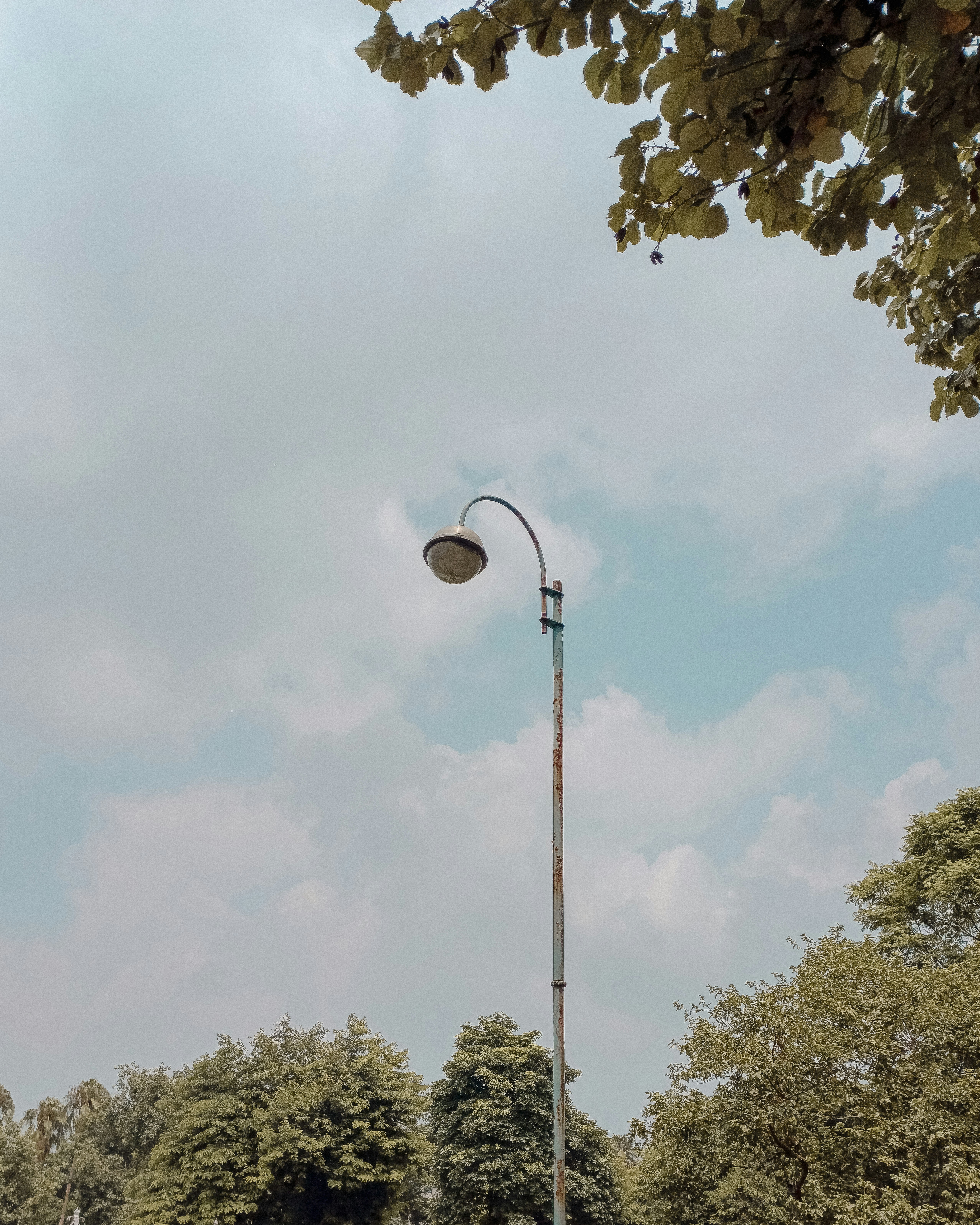 A street light in the middle of a park photo – Free Wallpaper Image on ...