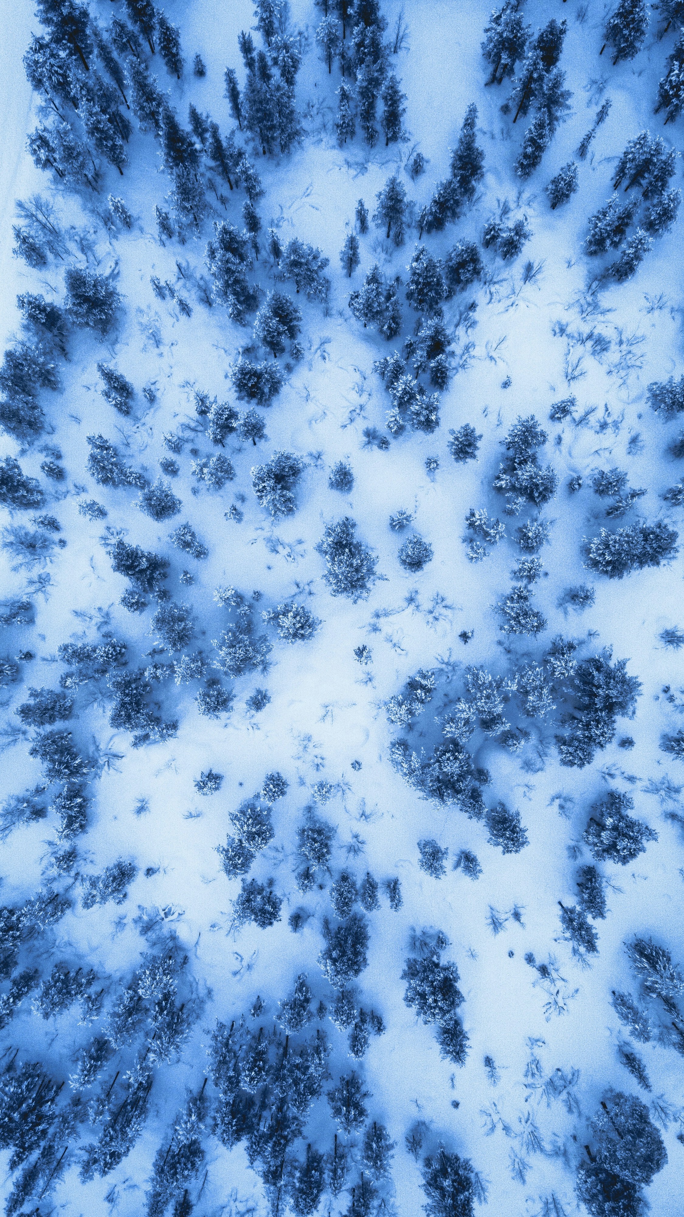 An aerial view of a snow covered forest photo – Free Land Image on Unsplash