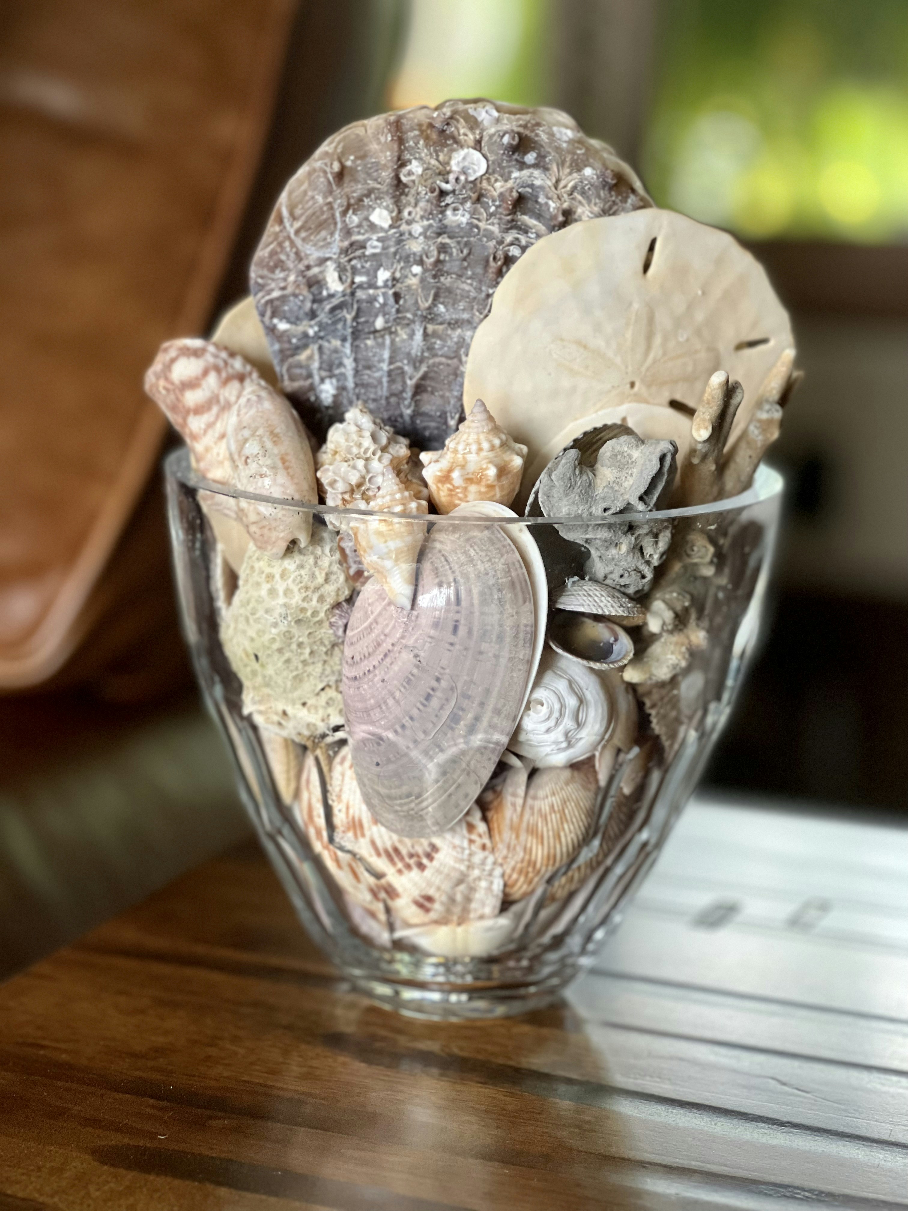 Shell Mosaic in a Glass: A Seashore Still-Life Jar