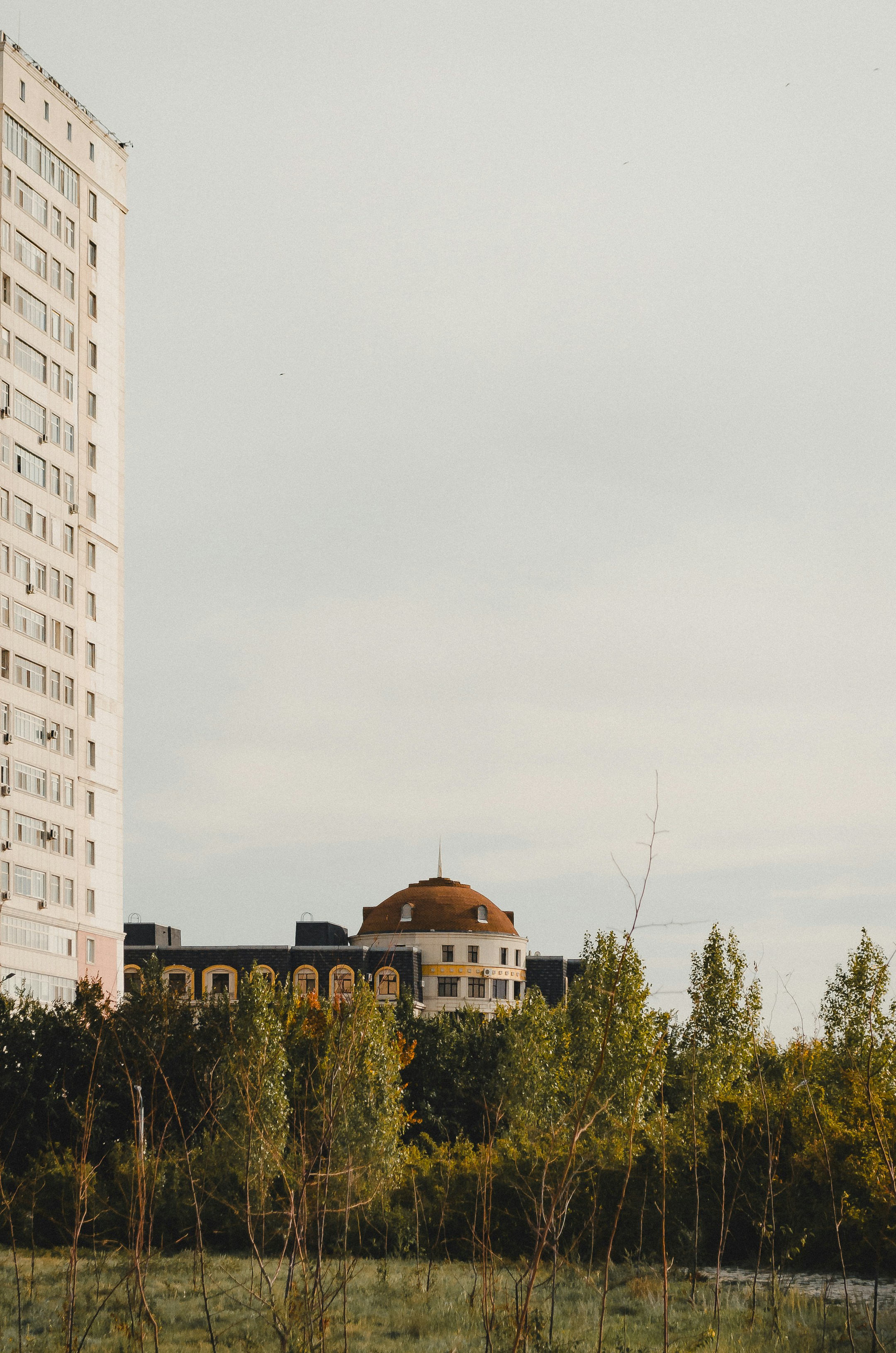 Orange-Domed Building Emerging Over a Tree-Lined Horizon