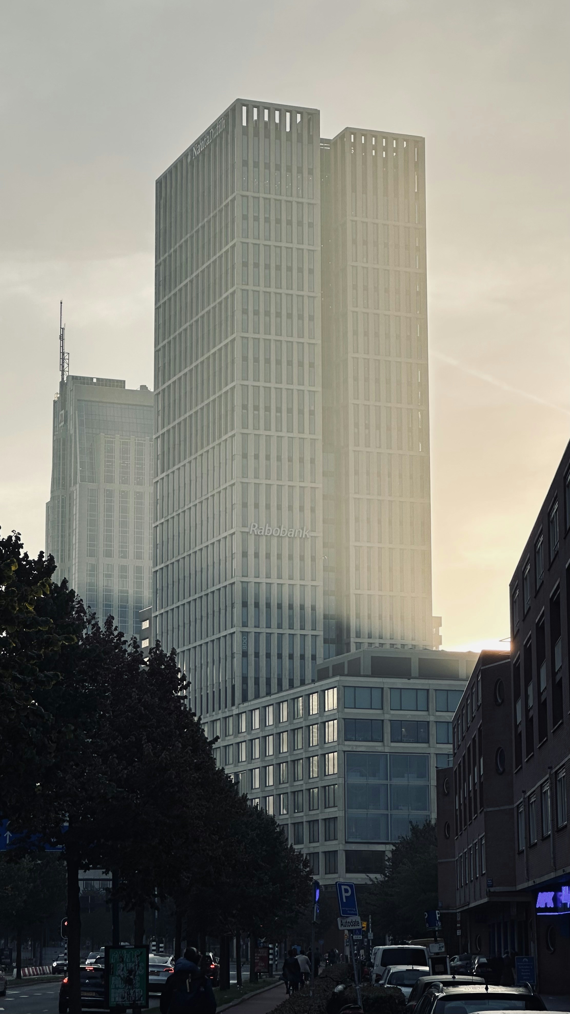 Dusk in the City: Twin Glass Towers Rising Over a Tree-lined Street