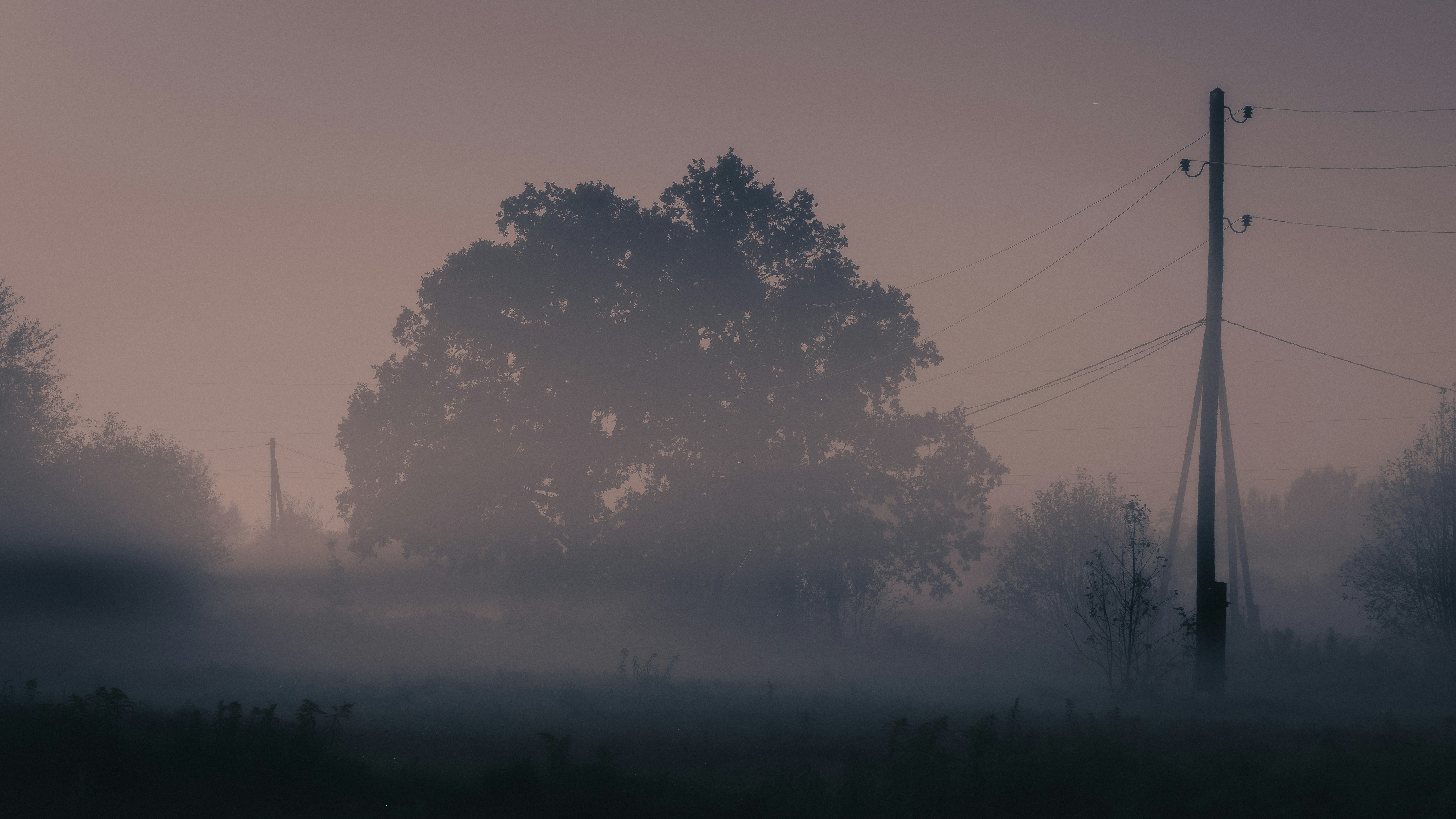Misty Dawn Beneath a Silent Grid