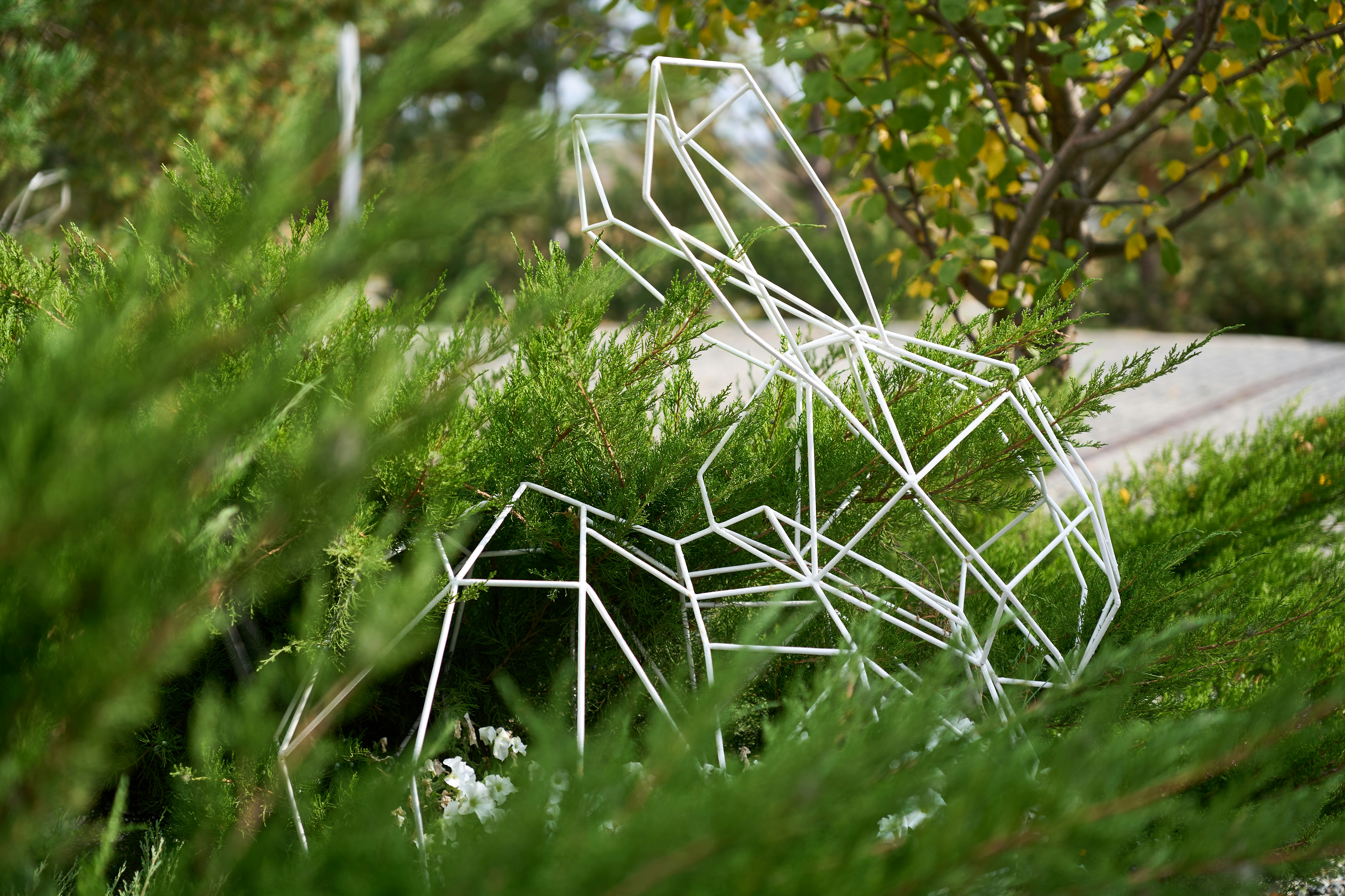 Lattice Amid Leaves: A Geometric Sculpture Reclaimed by Nature