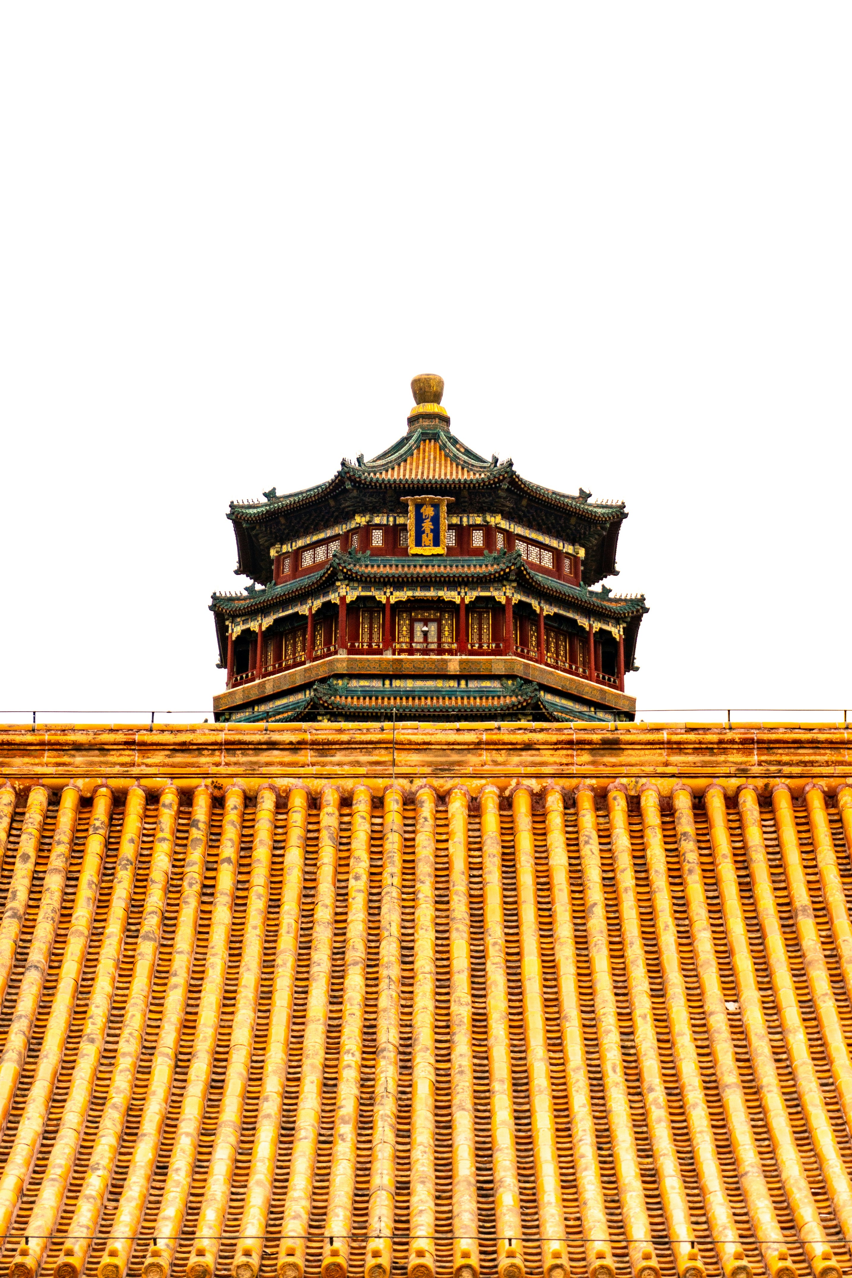 Photo by Harley Lin with SONY ZV-E10