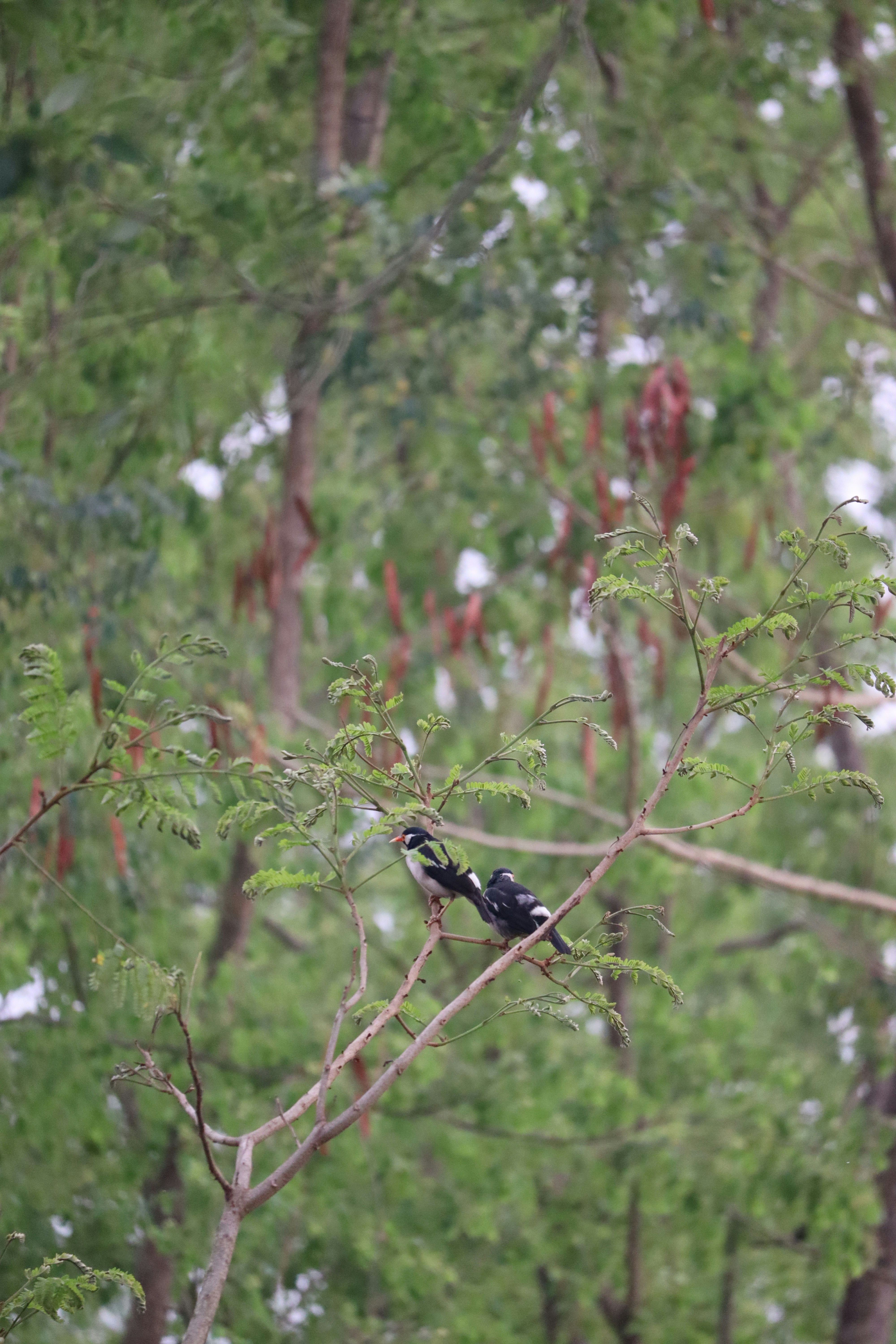 Photo by Soonam Wooeser with Canon EOS 200D Mark II