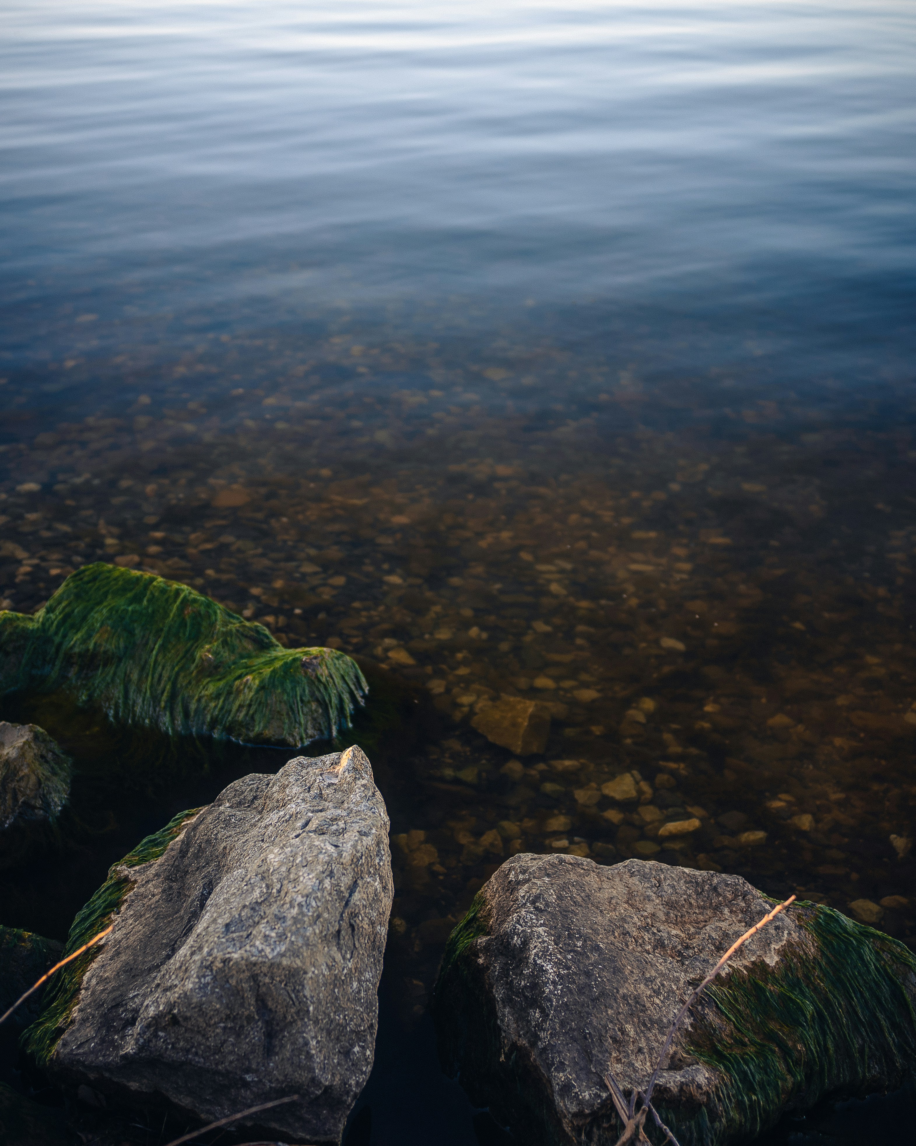 Clear lake water gently laps against moss-covered rocks.