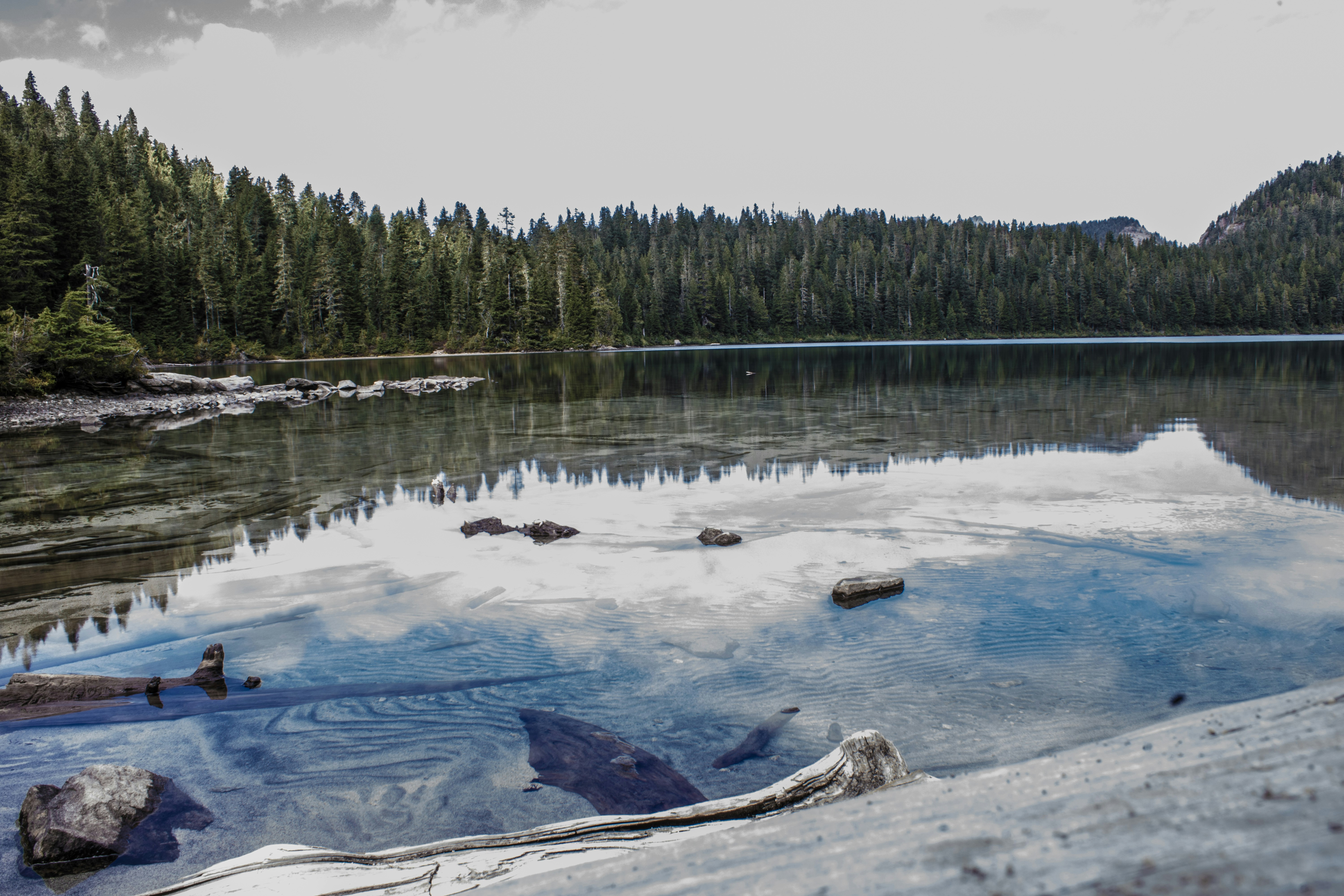 Serene Lake Reflection with Forested Rim and Driftwood Foreground