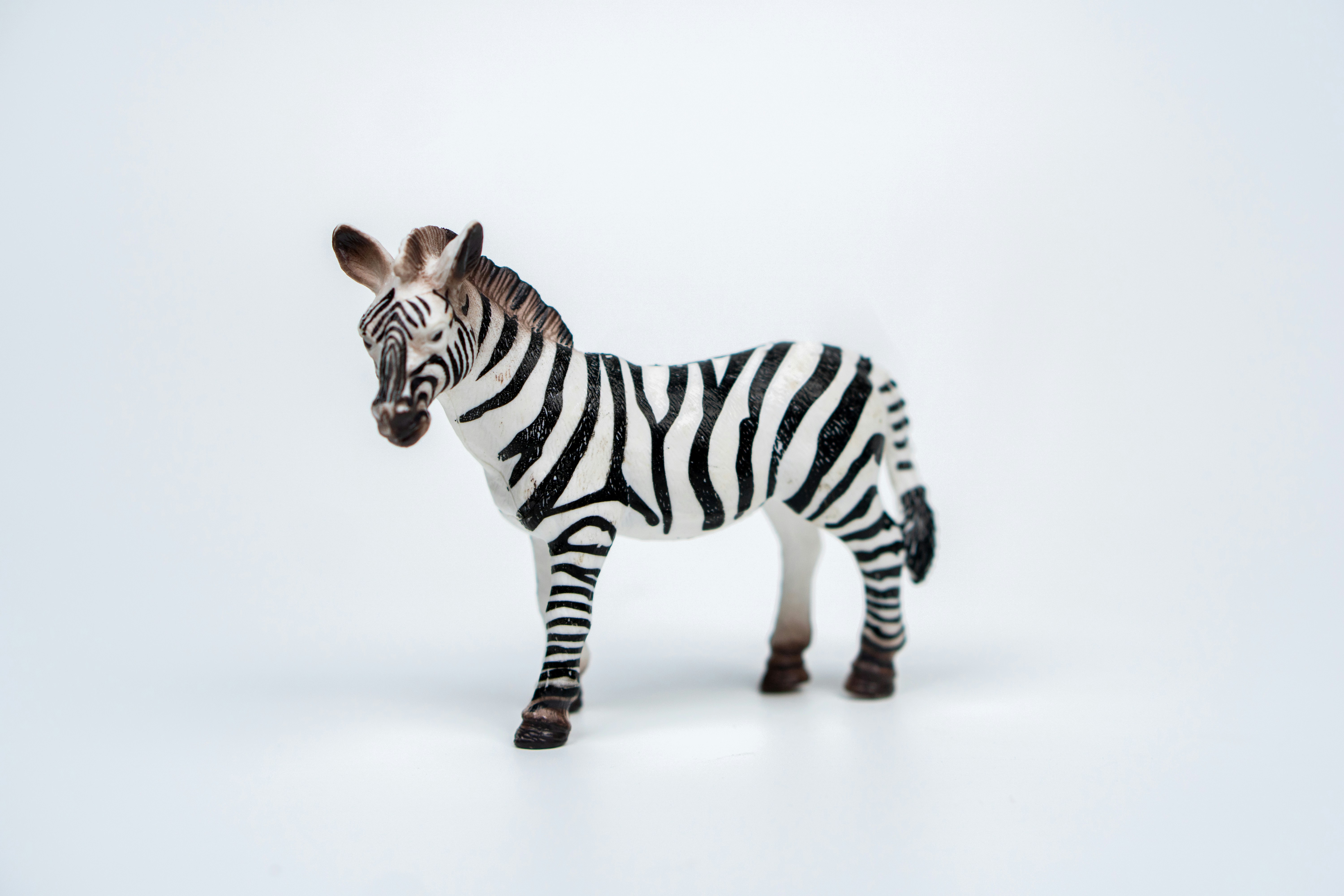 A toy zebra standing on a white surface photo – Free Zebra Image on ...