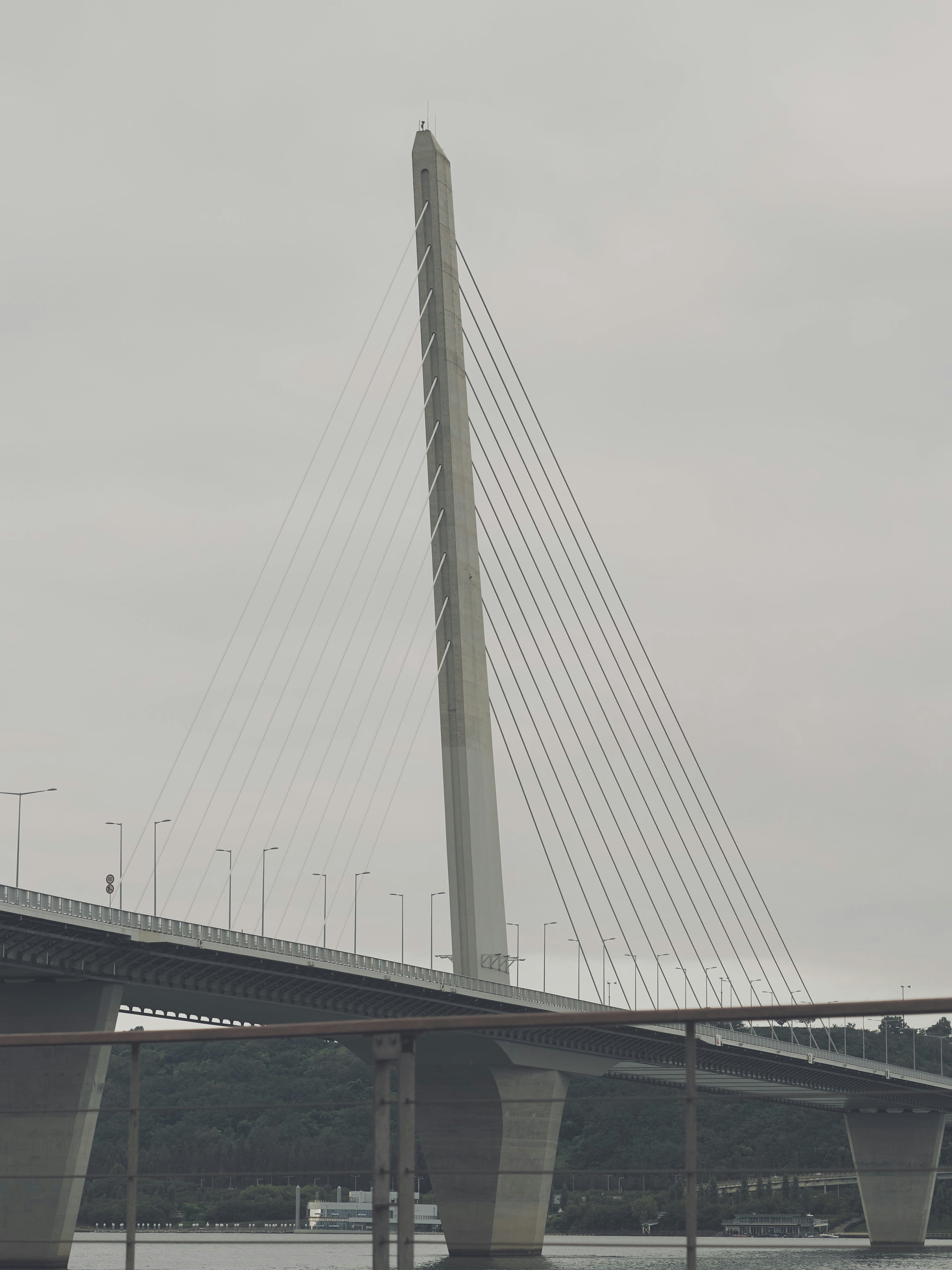 Cable-stayed bridge with a tall central pylon and multiple cables spanning over calm water under an overcast sky.