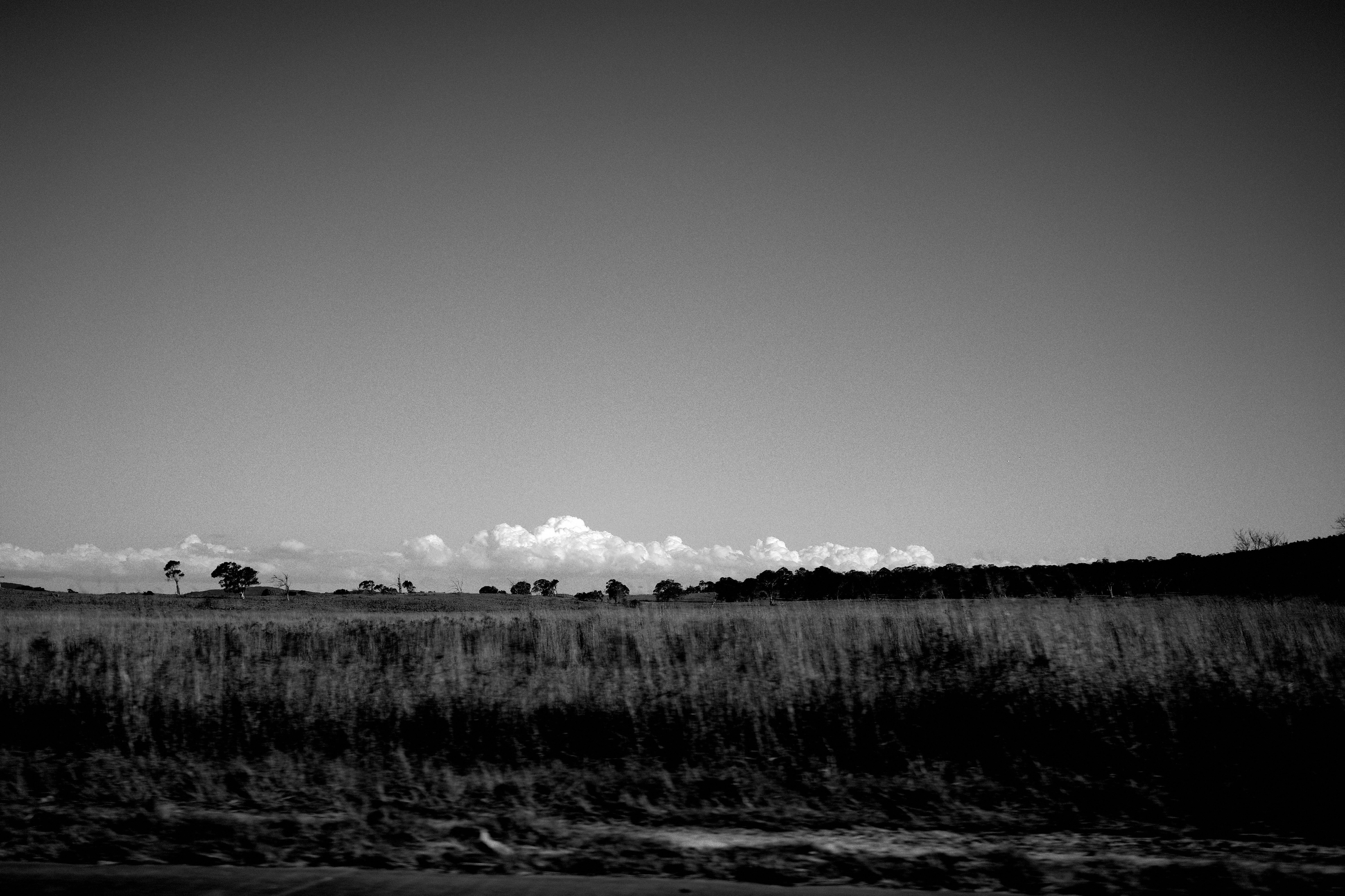 Photo by XXWW with Ricoh GR IIIx