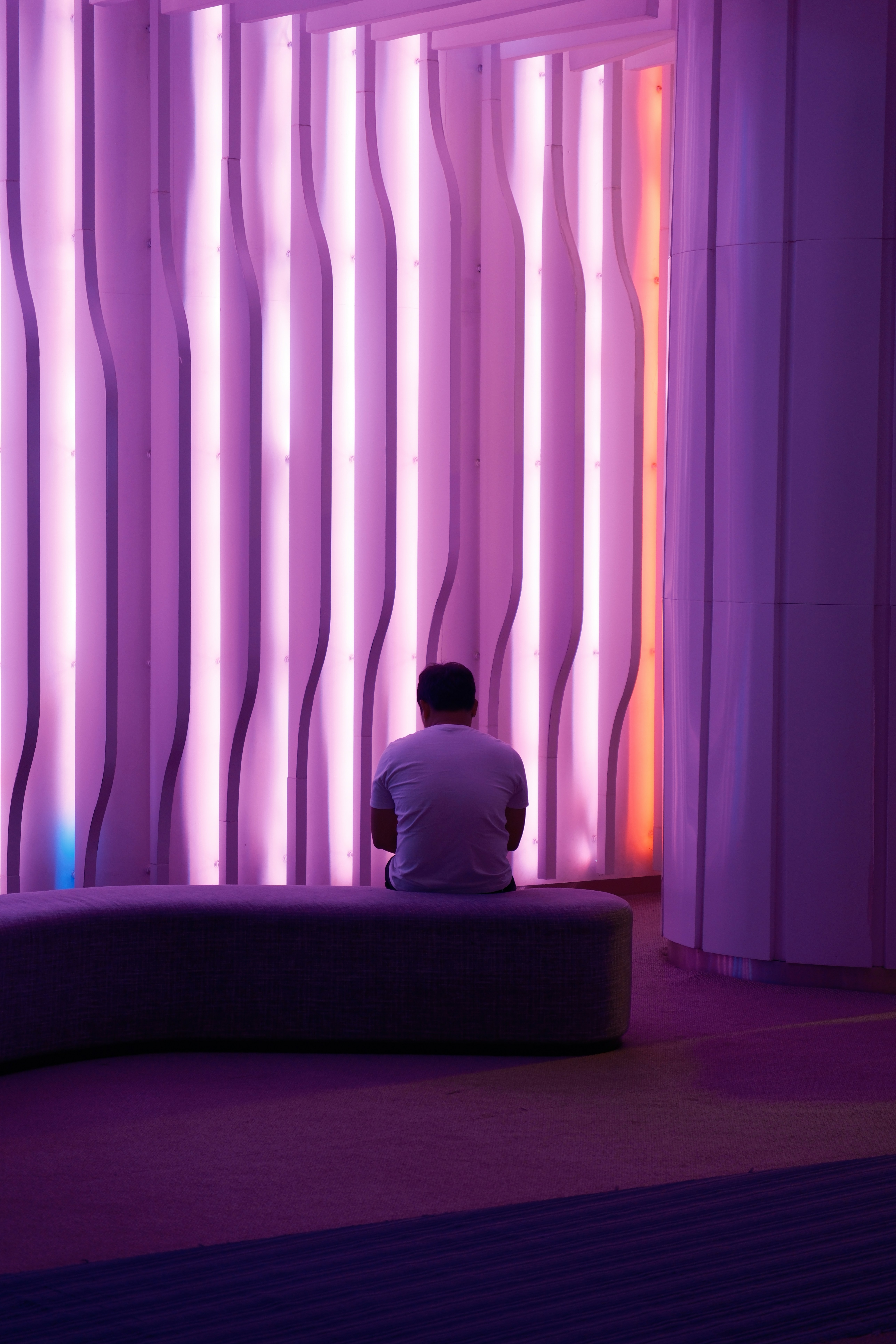 A person sits on a curved bench, gazing at a vibrant wall of flowing neon lights in shades of purple and orange.